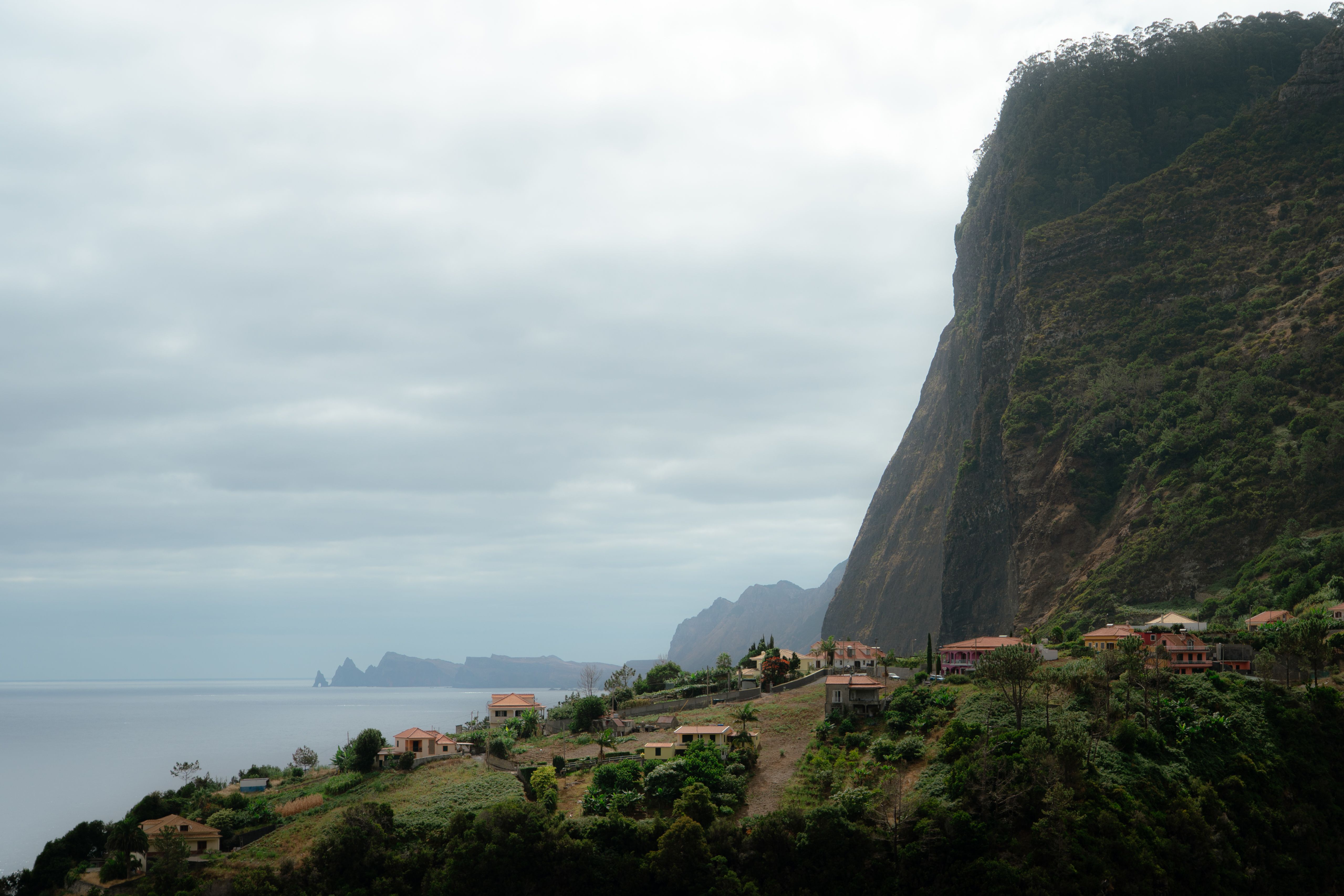 Dramatic Cliffs Overlooking Madeira Coastline · Free Stock Photo