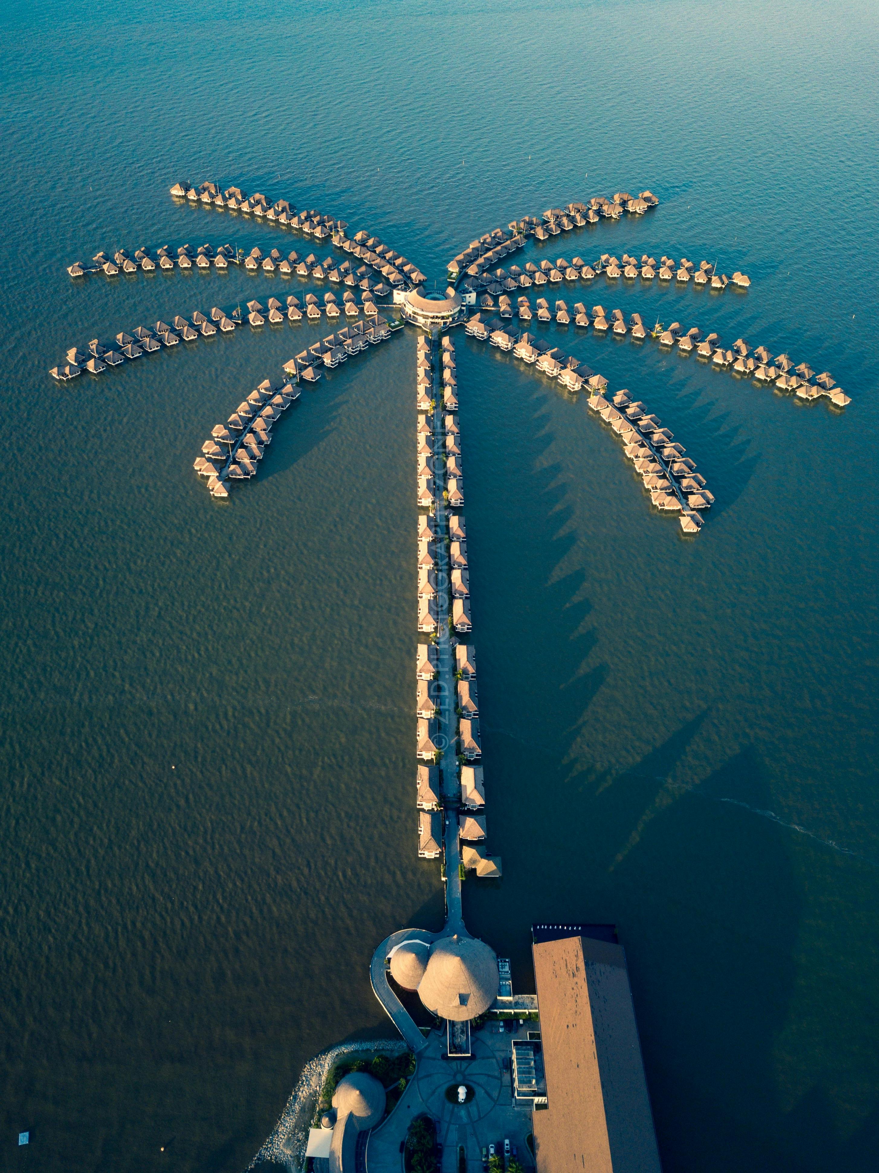 Camel Toe Beach Photos, Download The BEST Free Camel Toe Beach Stock ...