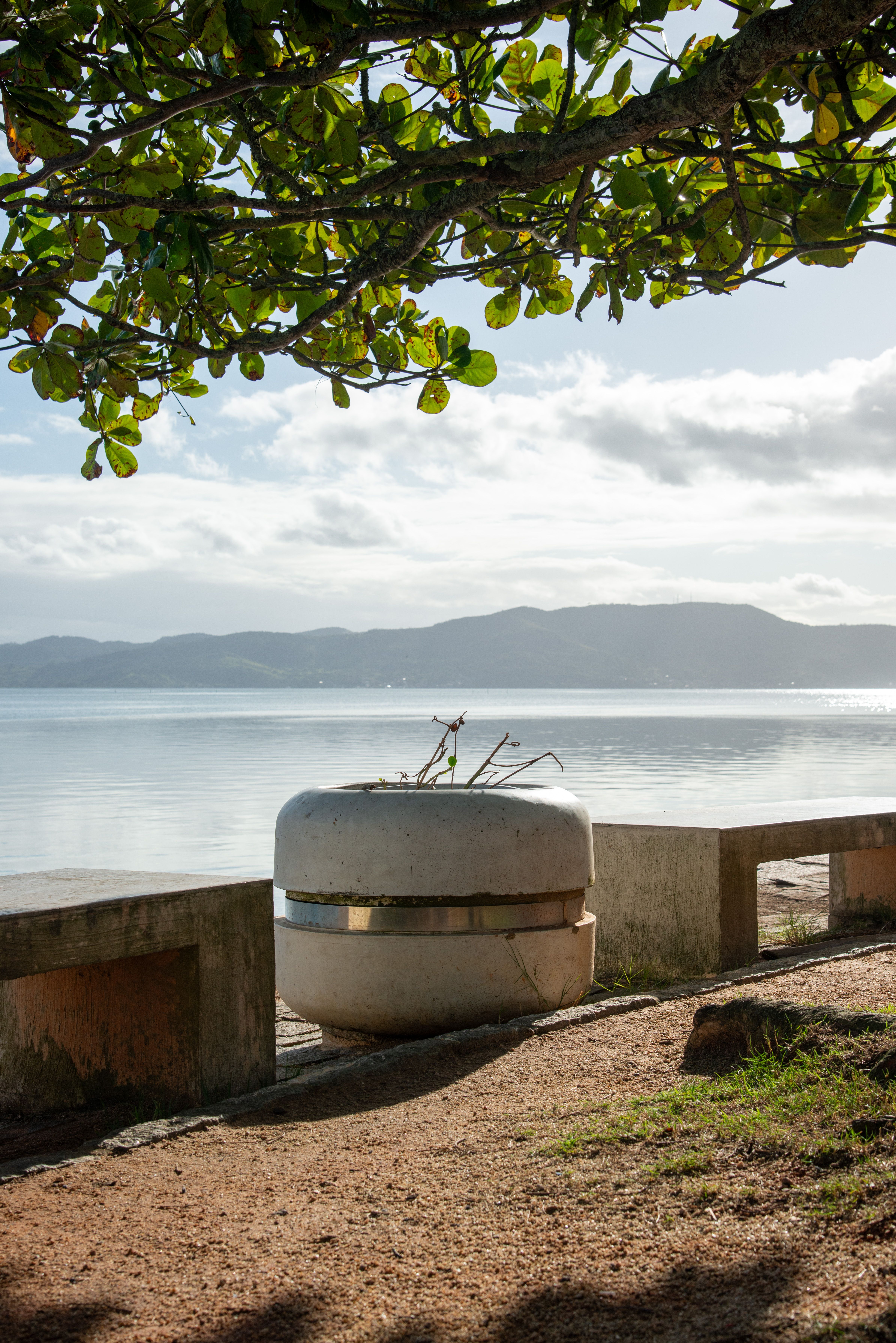 Serene Lakeside View in Laguna Brazil · Free Stock Photo