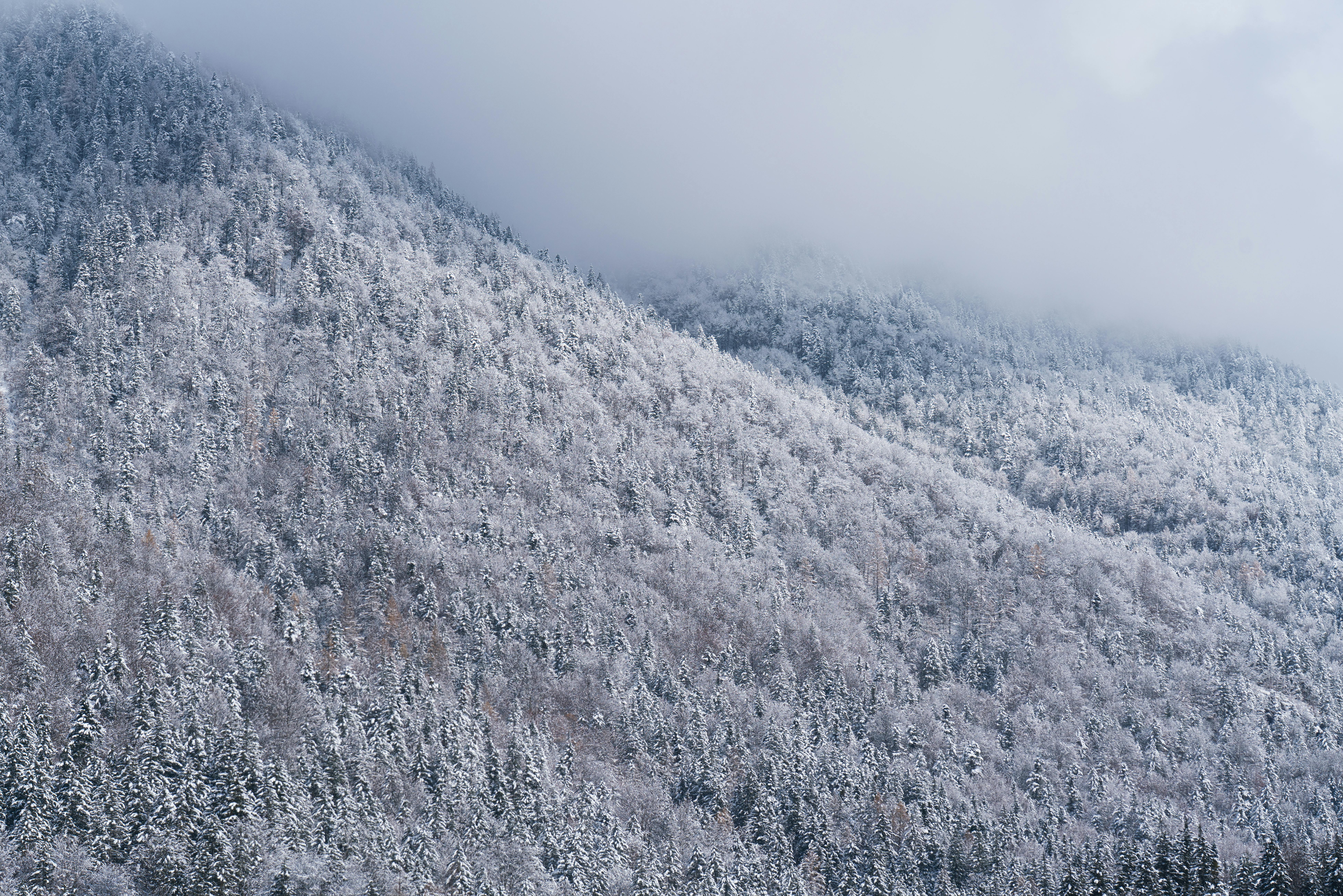 4k Wallpaper Tuff Photos, Download The BEST Free 4k Wallpaper Tuff ...