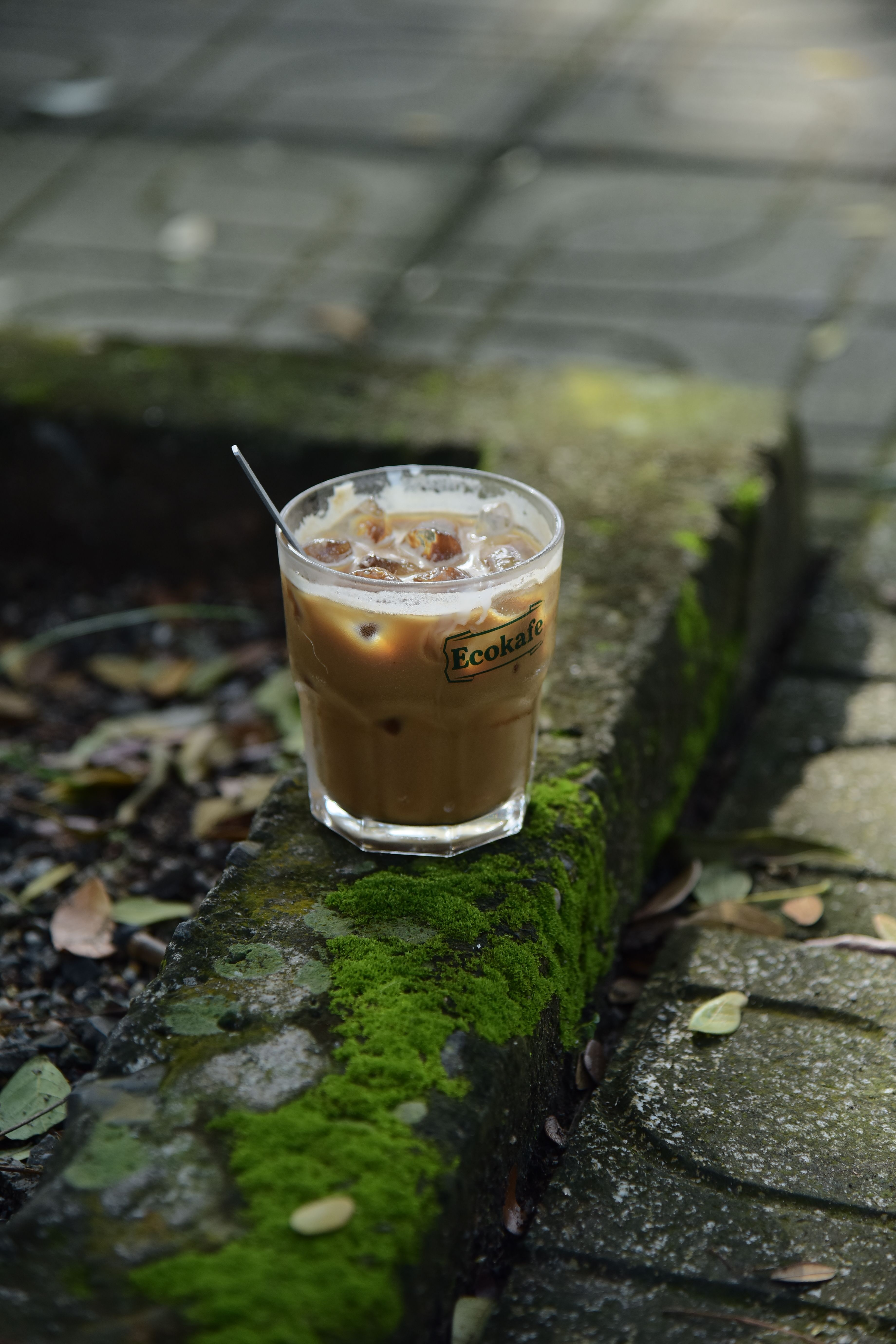 Refreshing Iced Coffee on Mossy Curb Outdoors · Free Stock Photo