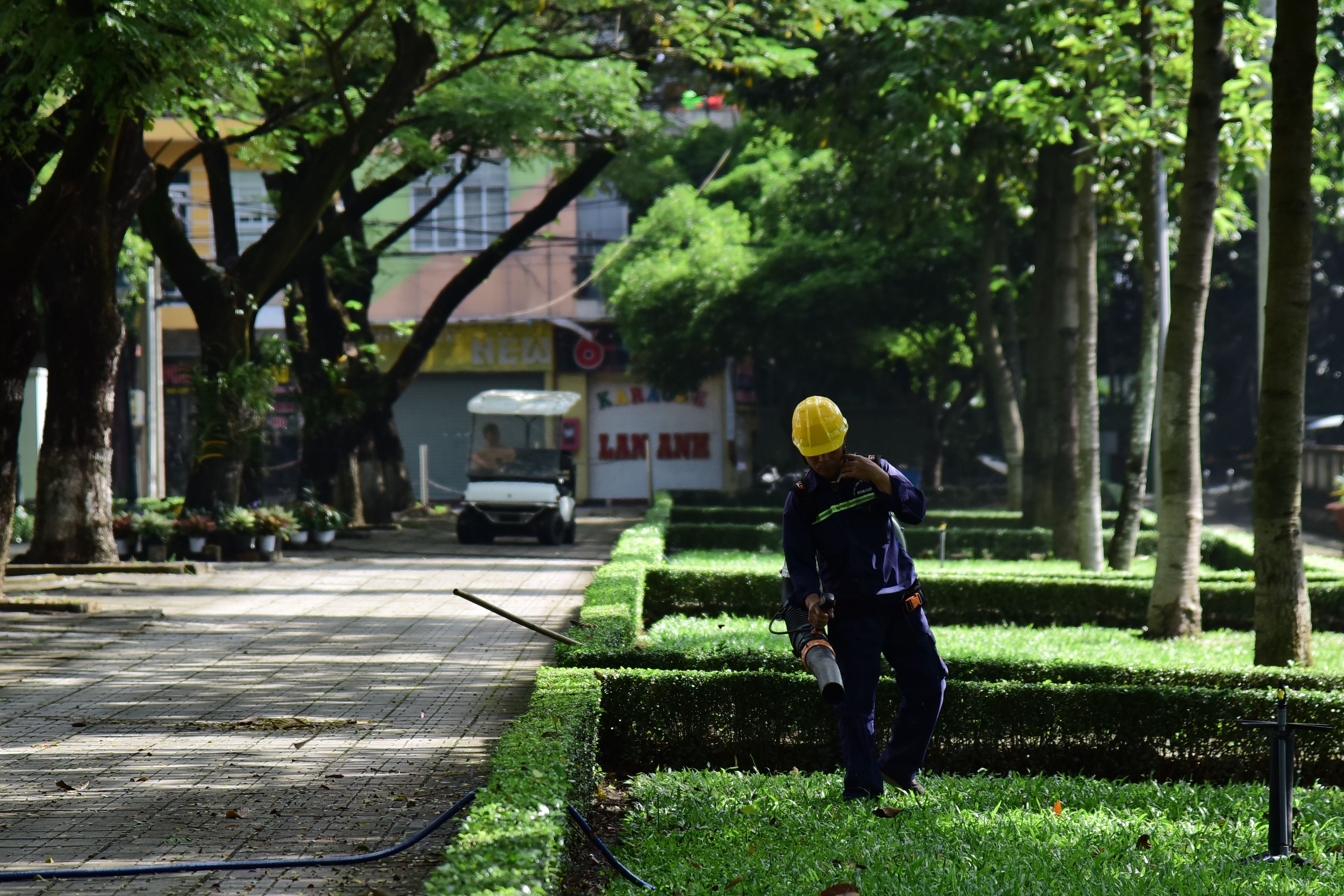 Park Maintenance Worker Pruning Green Hedges · Free Stock Photo