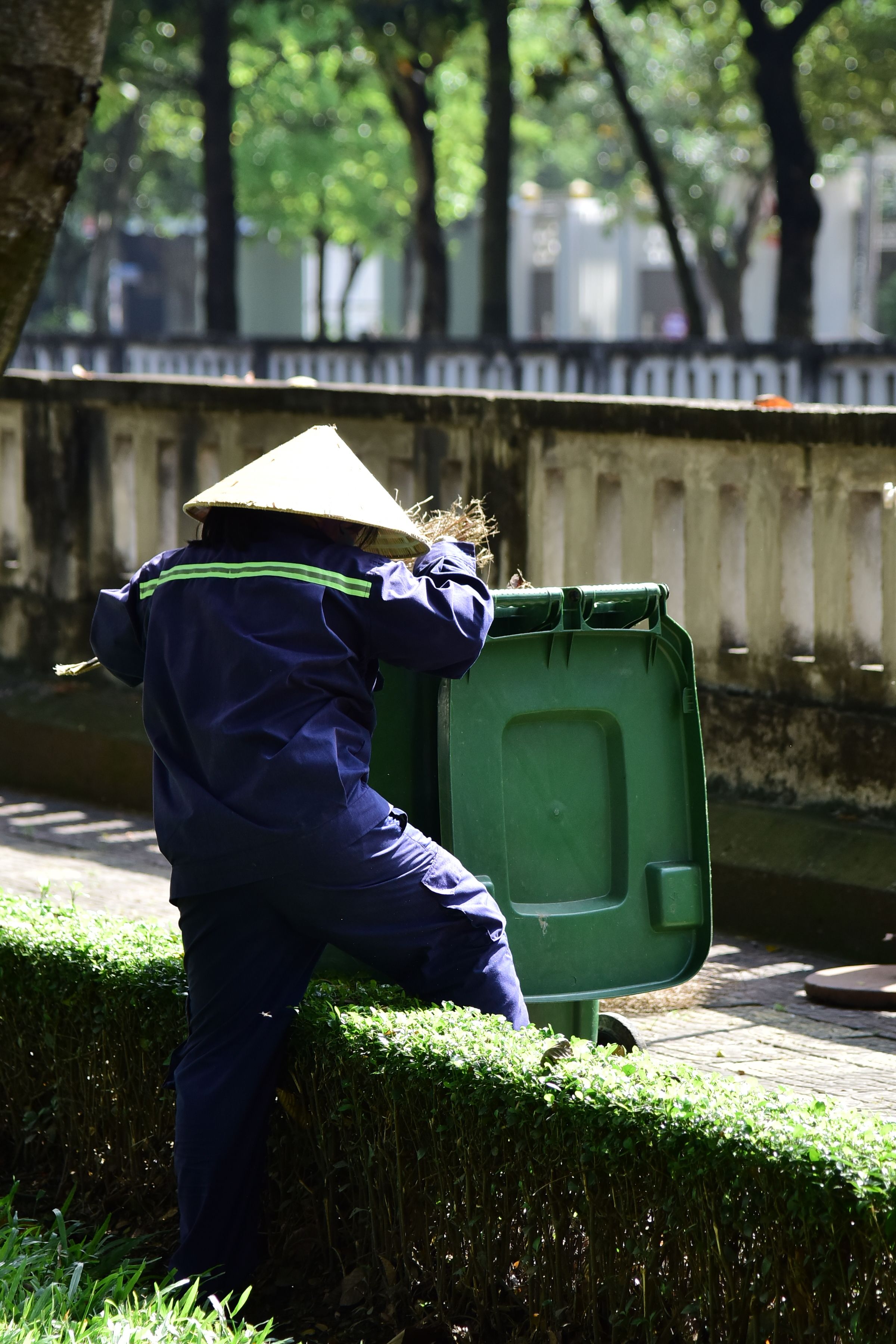 Person Disposing Green Waste in Outdoor Park Setting · Free Stock Photo