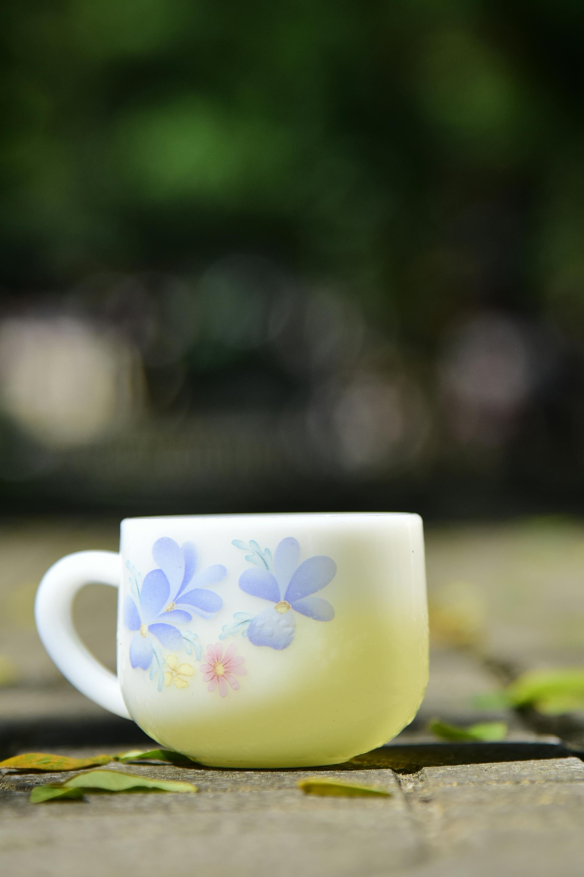 Teacup Photos, Download The BEST Free Teacup Stock Photos & HD Images