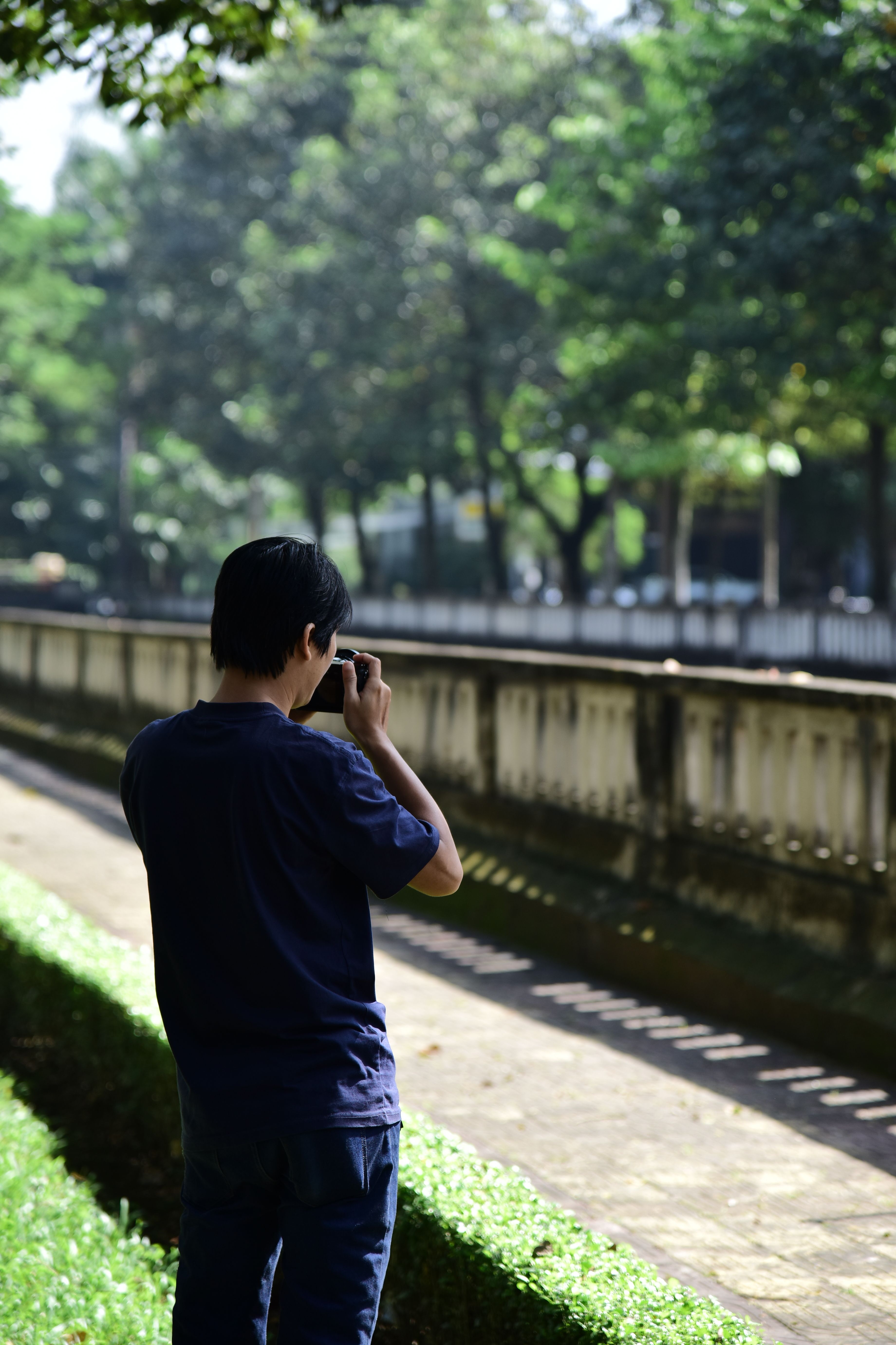 Person Photographing Scenic Park Landscape · Free Stock Photo