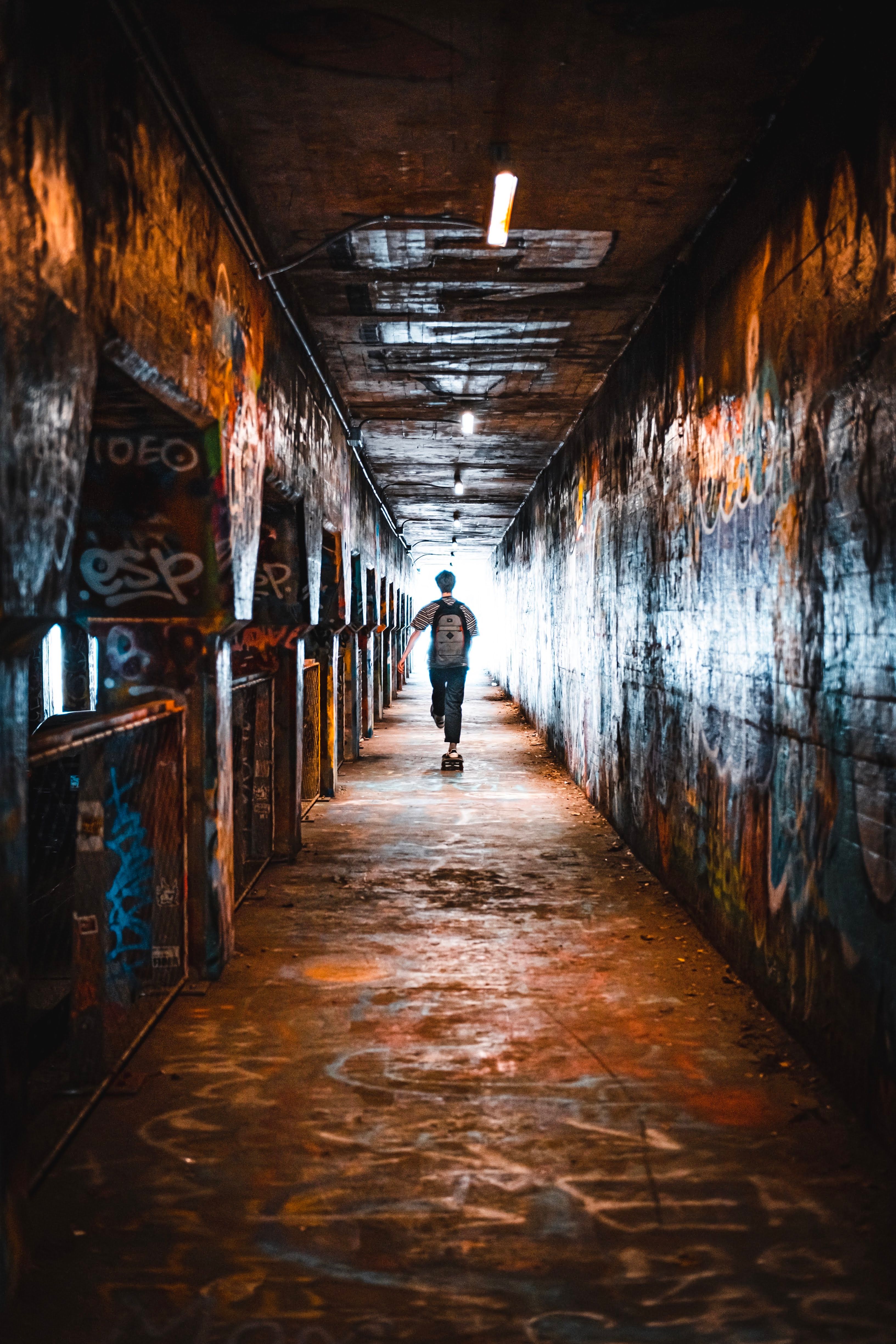 Free Image Photos, Download The BEST Free Free Image Stock Photos & HD ...