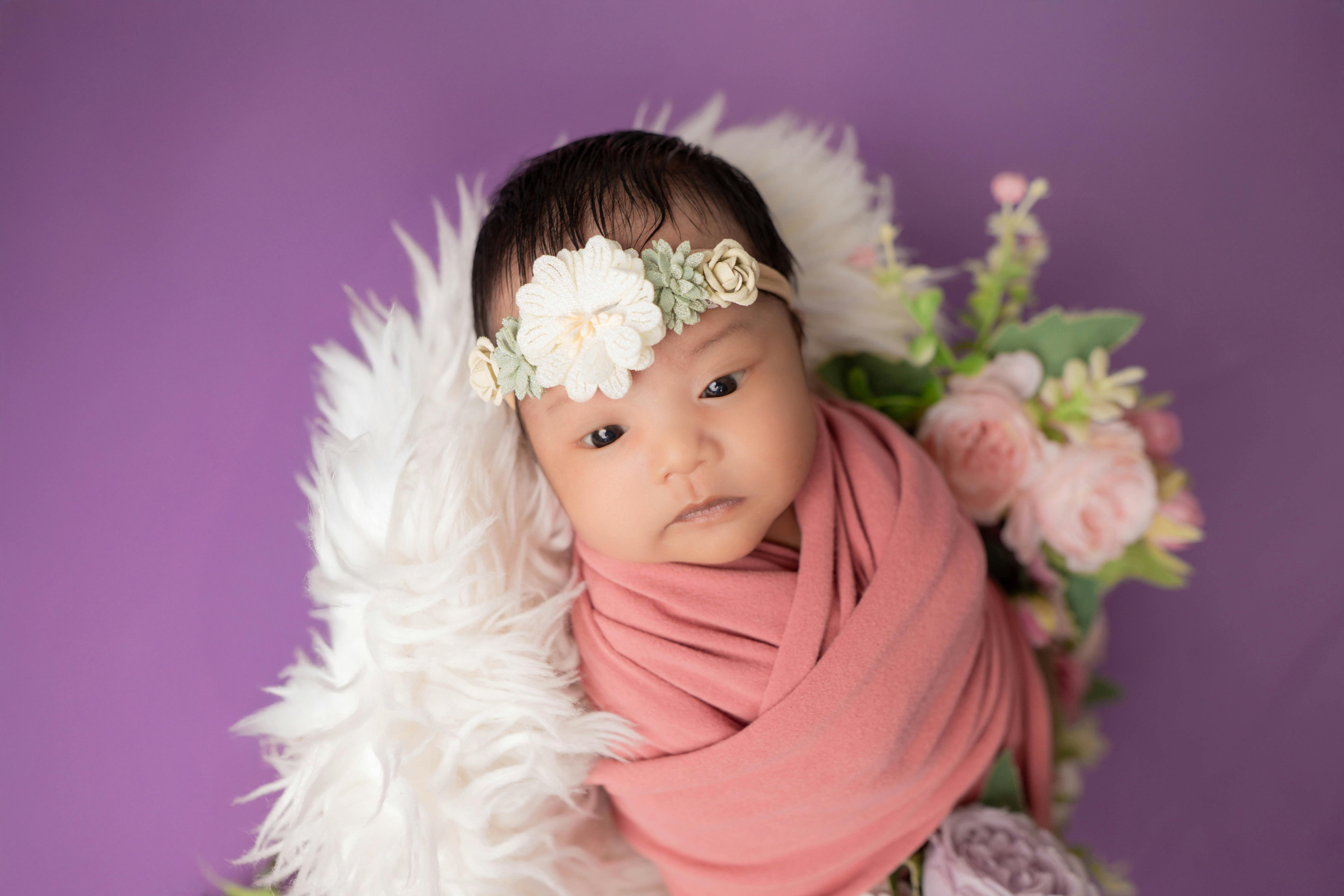 Flower Without Background Photos, Download The BEST Free Flower Without ...