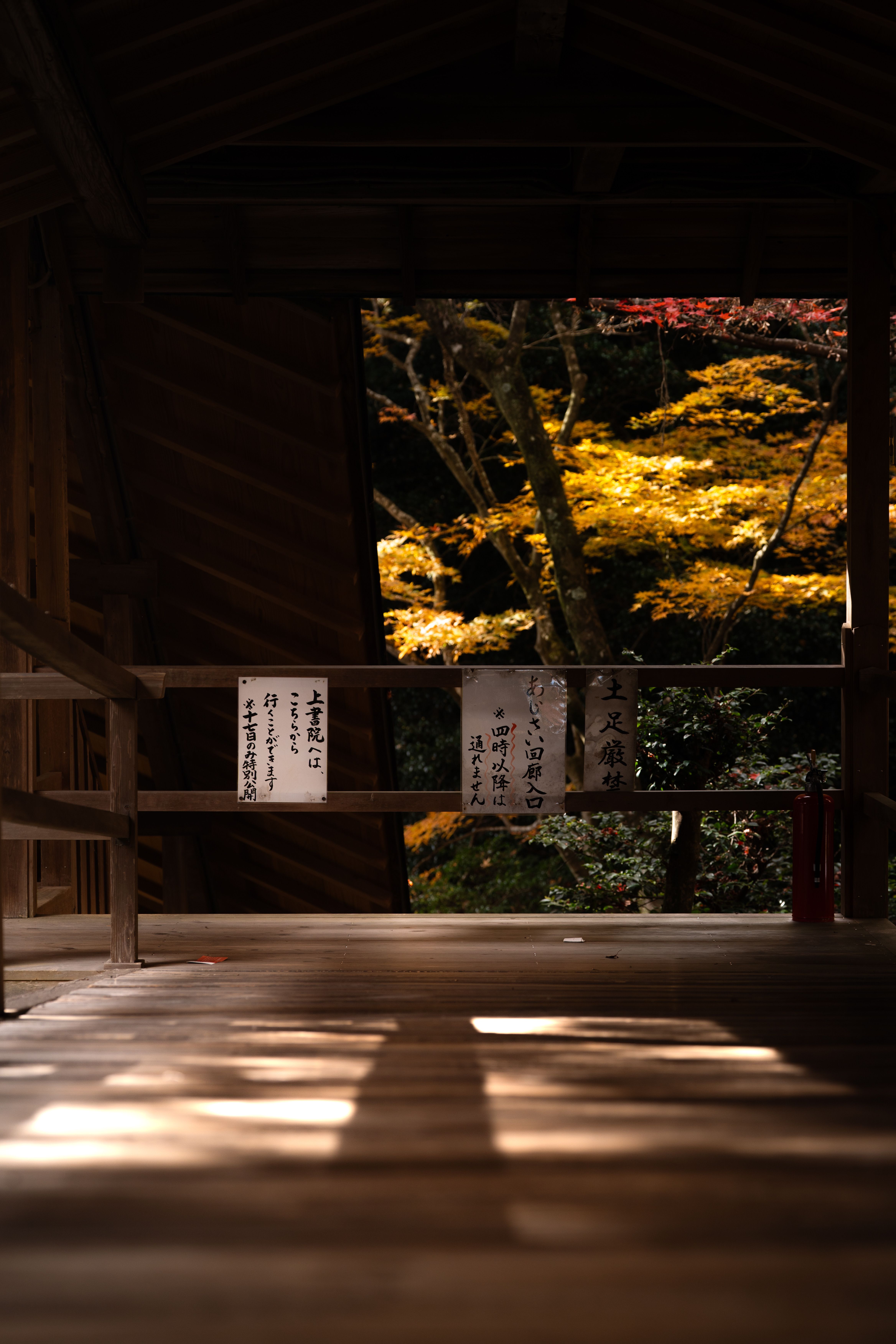 Tranquil Japanese Temple with Autumn Foliage · Free Stock Photo