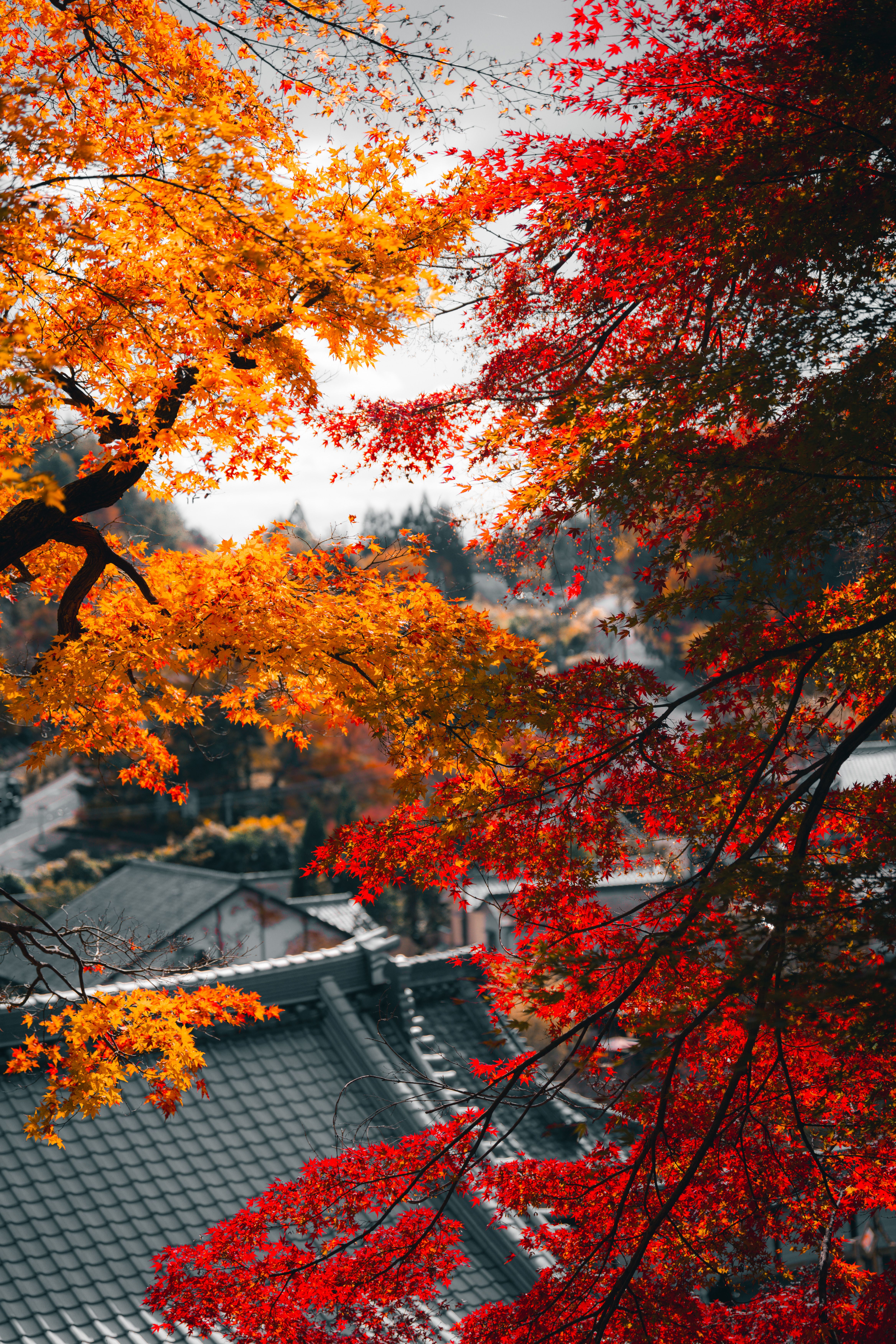 Itachi+Uchiha+Live+Wallpaper+4k Photos, Download The BEST Free Itachi ...