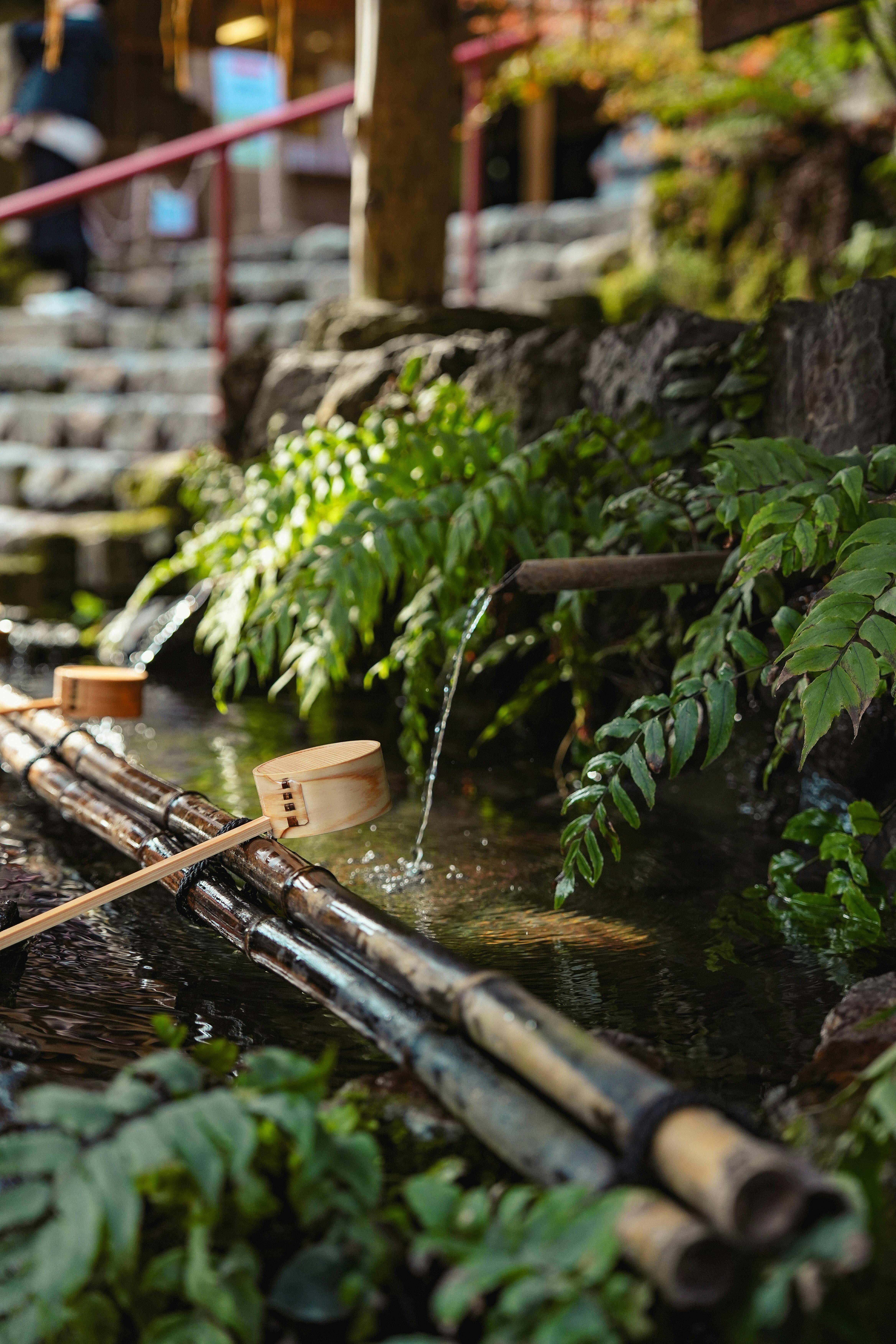 Aesthetic Pfp Photos, Download The BEST Free Aesthetic Pfp Stock Photos ...