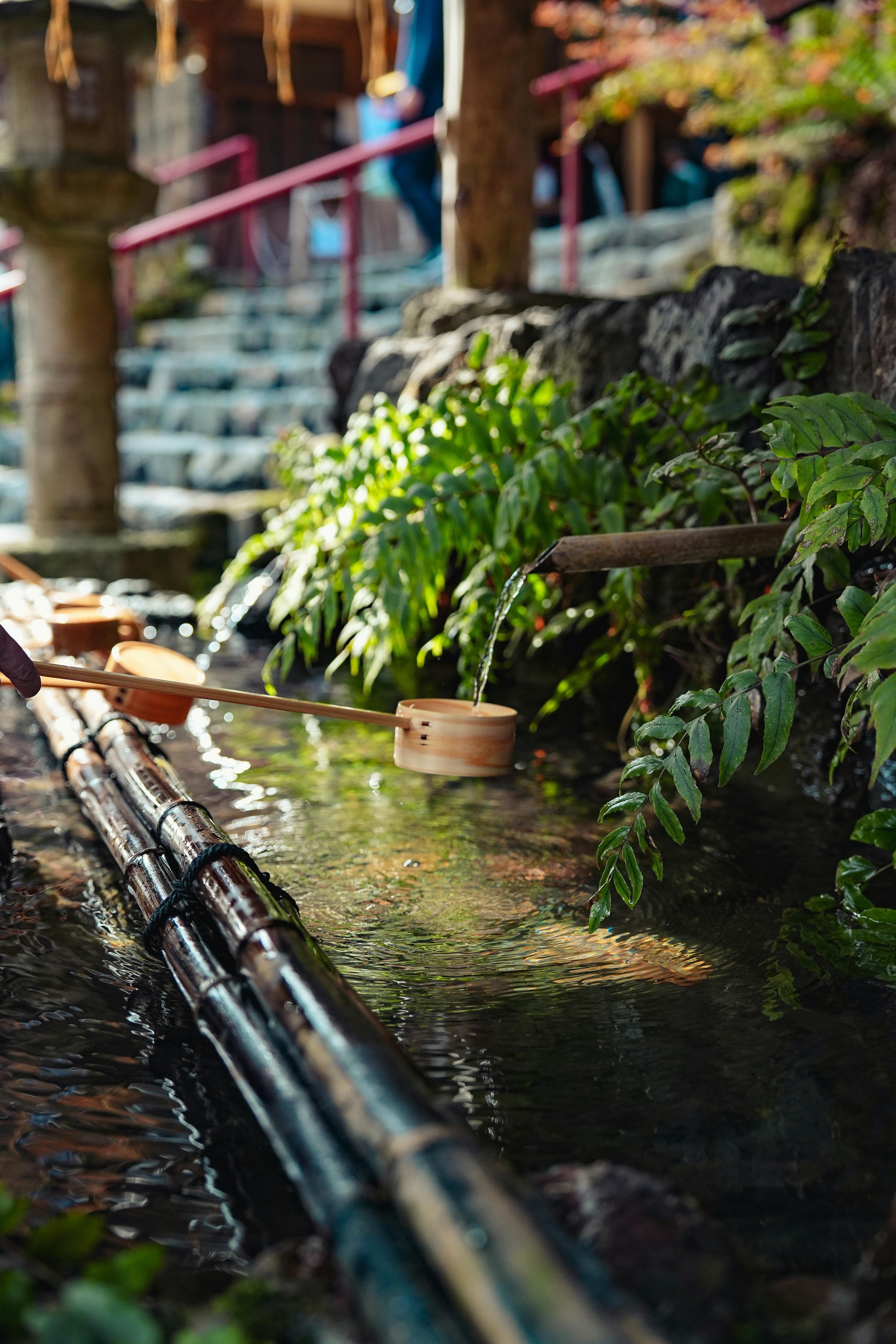 Asian+Pfp+Aesthetic Photos, Download The BEST Free Asian+Pfp+Aesthetic ...