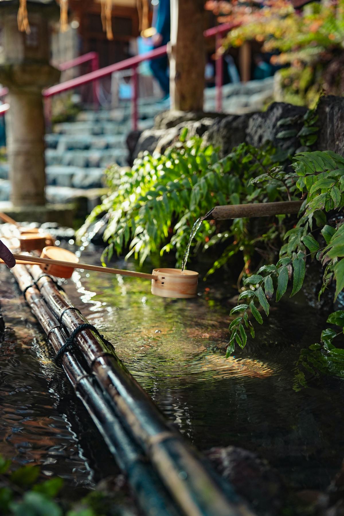 Japanese+Step+Uncensored Photos, Download The BEST Free Japanese+Step ...