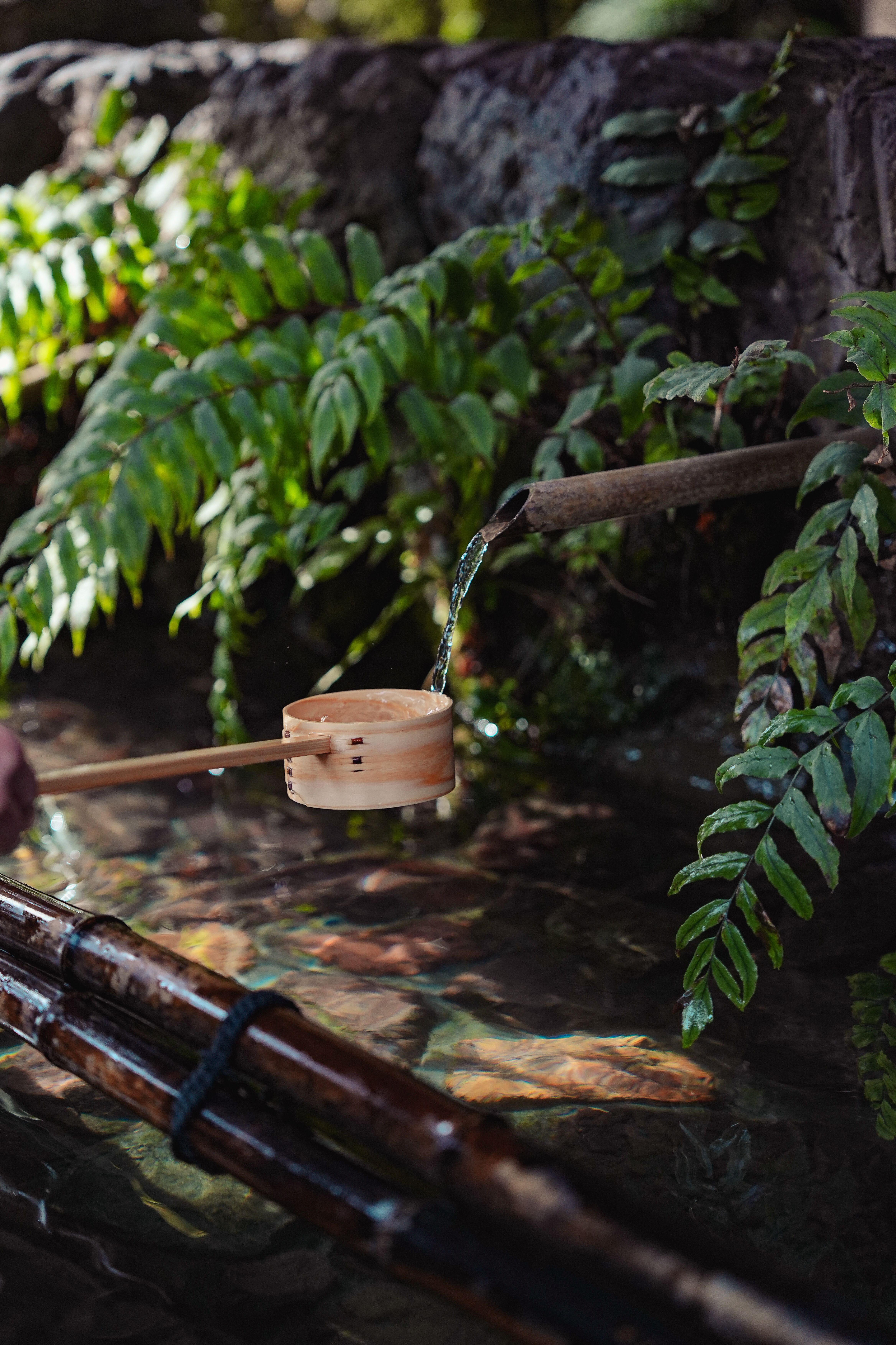 Traditional Japanese Purification Fountain · Free Stock Photo