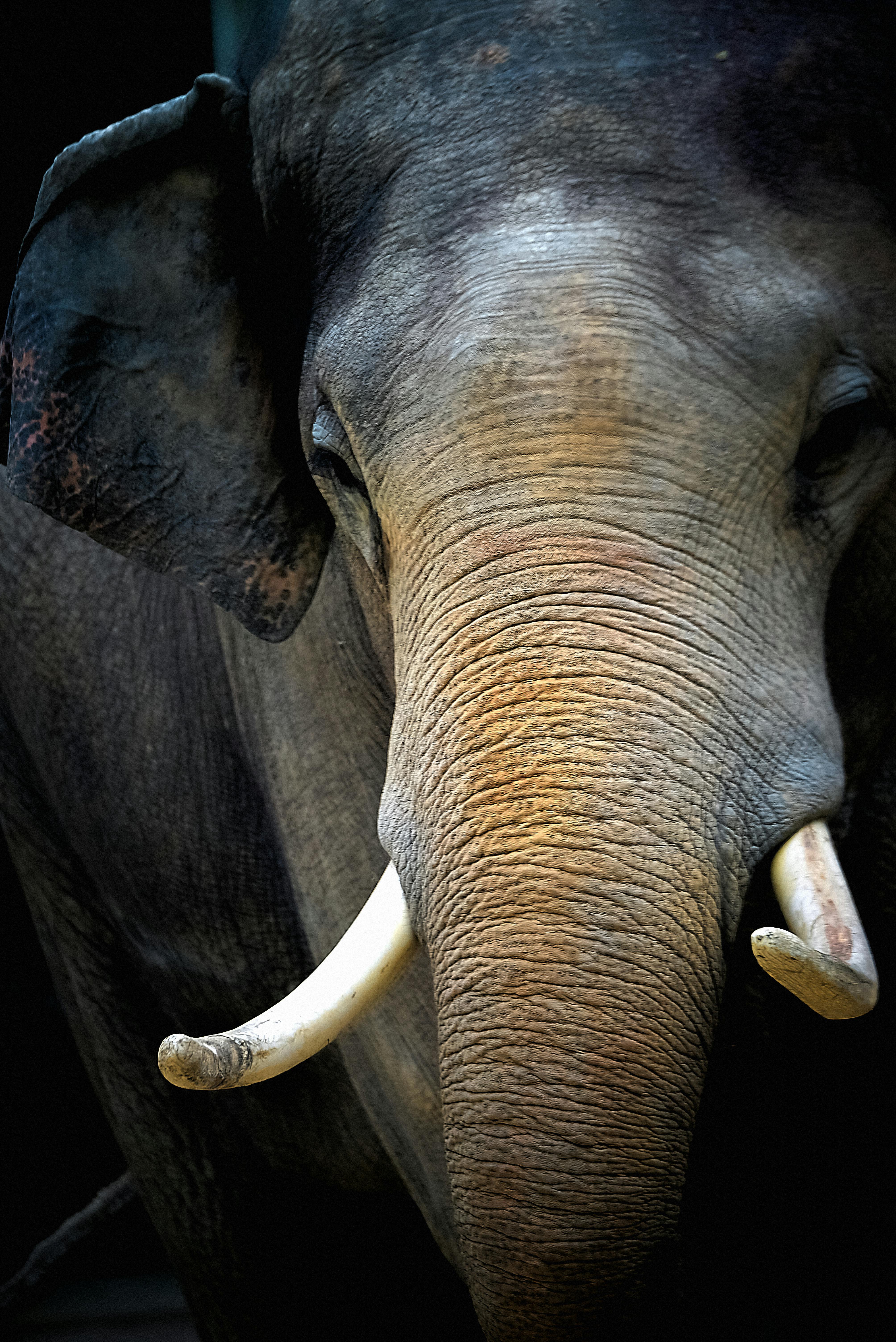 Location+Stock+Image Photos, Download The BEST Free Location+Stock ...