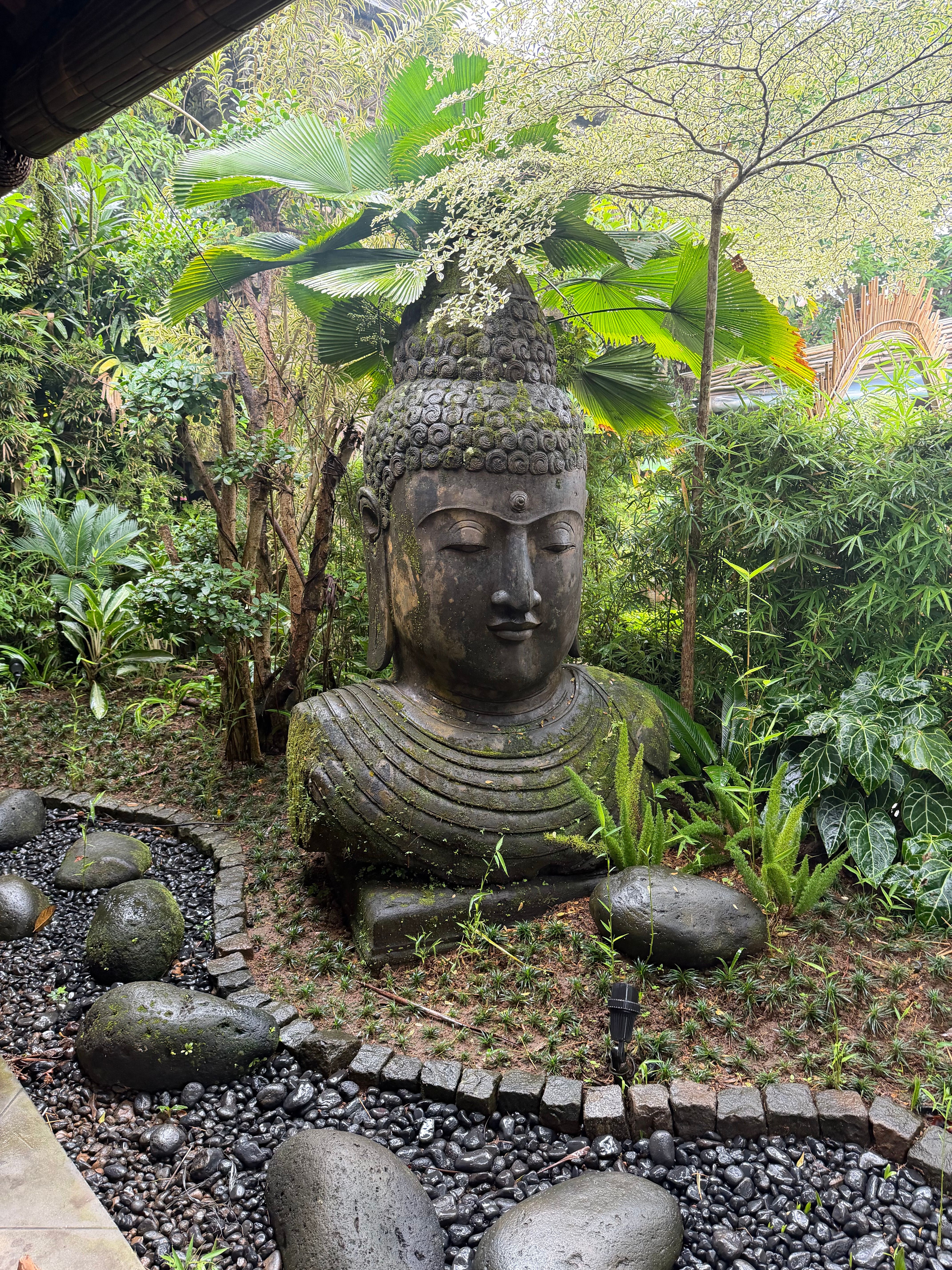 Enlightenment Photos, Download The BEST Free Enlightenment Stock Photos ...