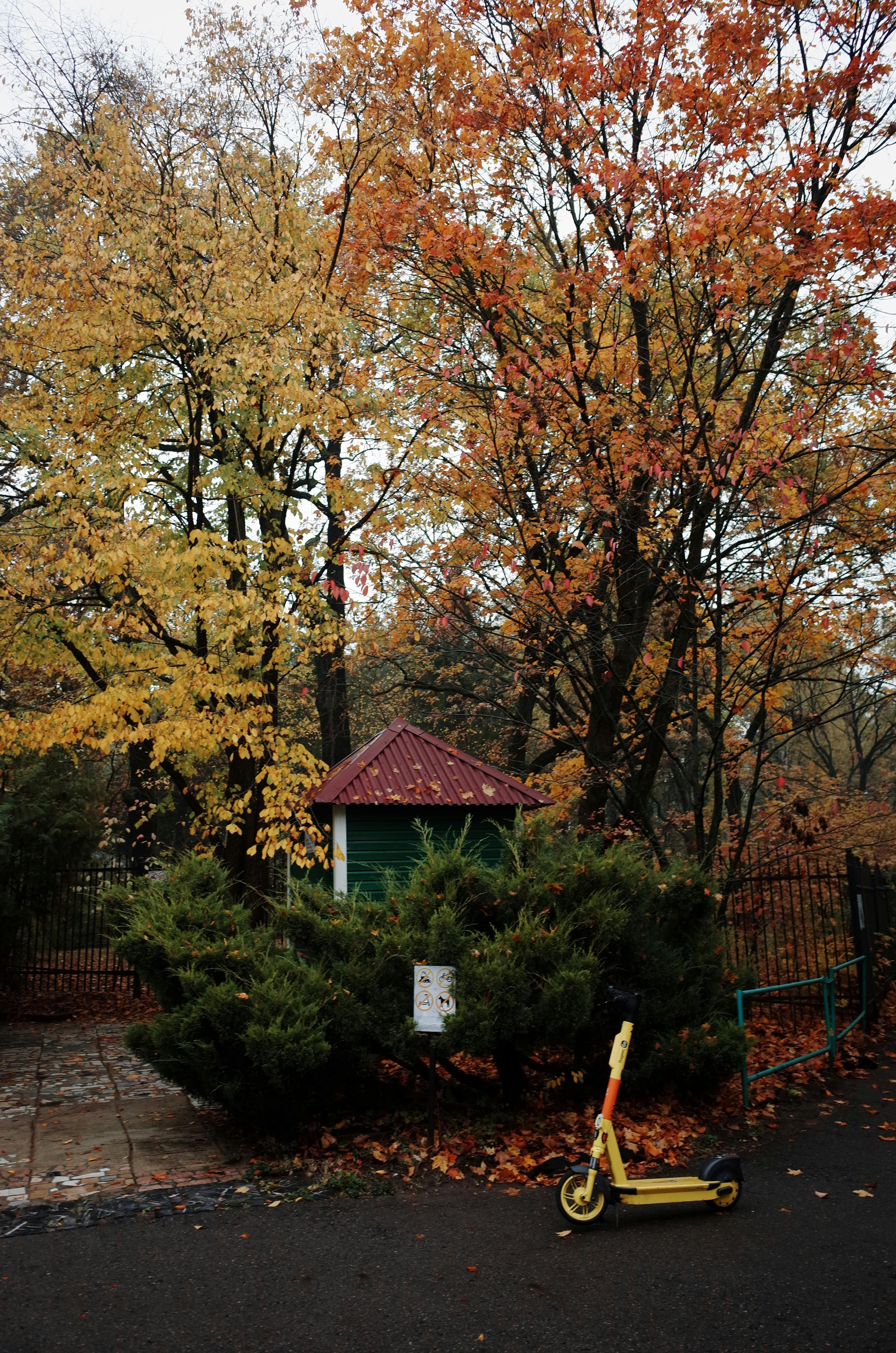 Nature In November Photos, Download The BEST Free Nature In November ...