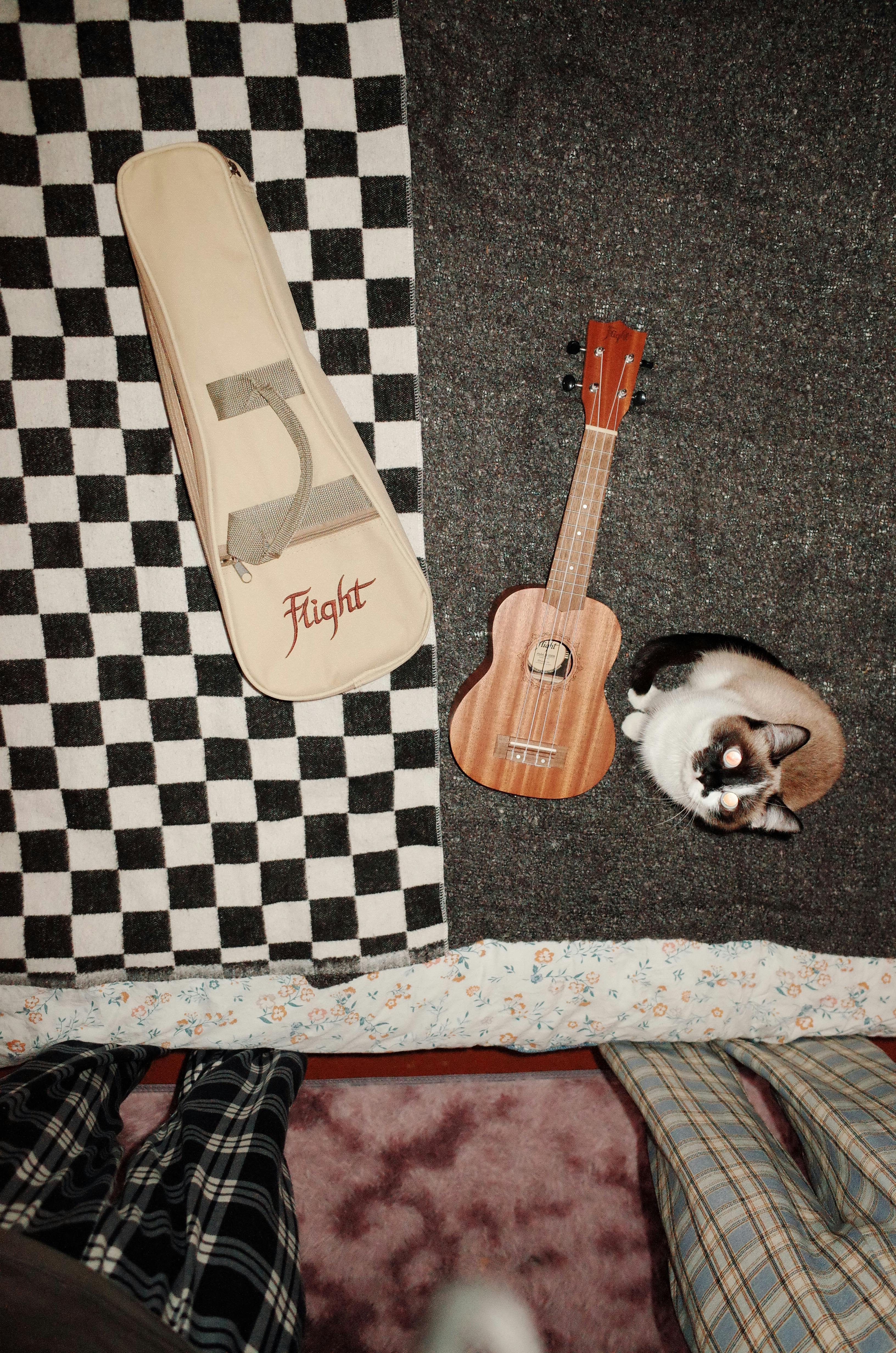 1 000+ parasta kuvaa aiheesta Checkerboard · Täysin ilmainen lataus ...