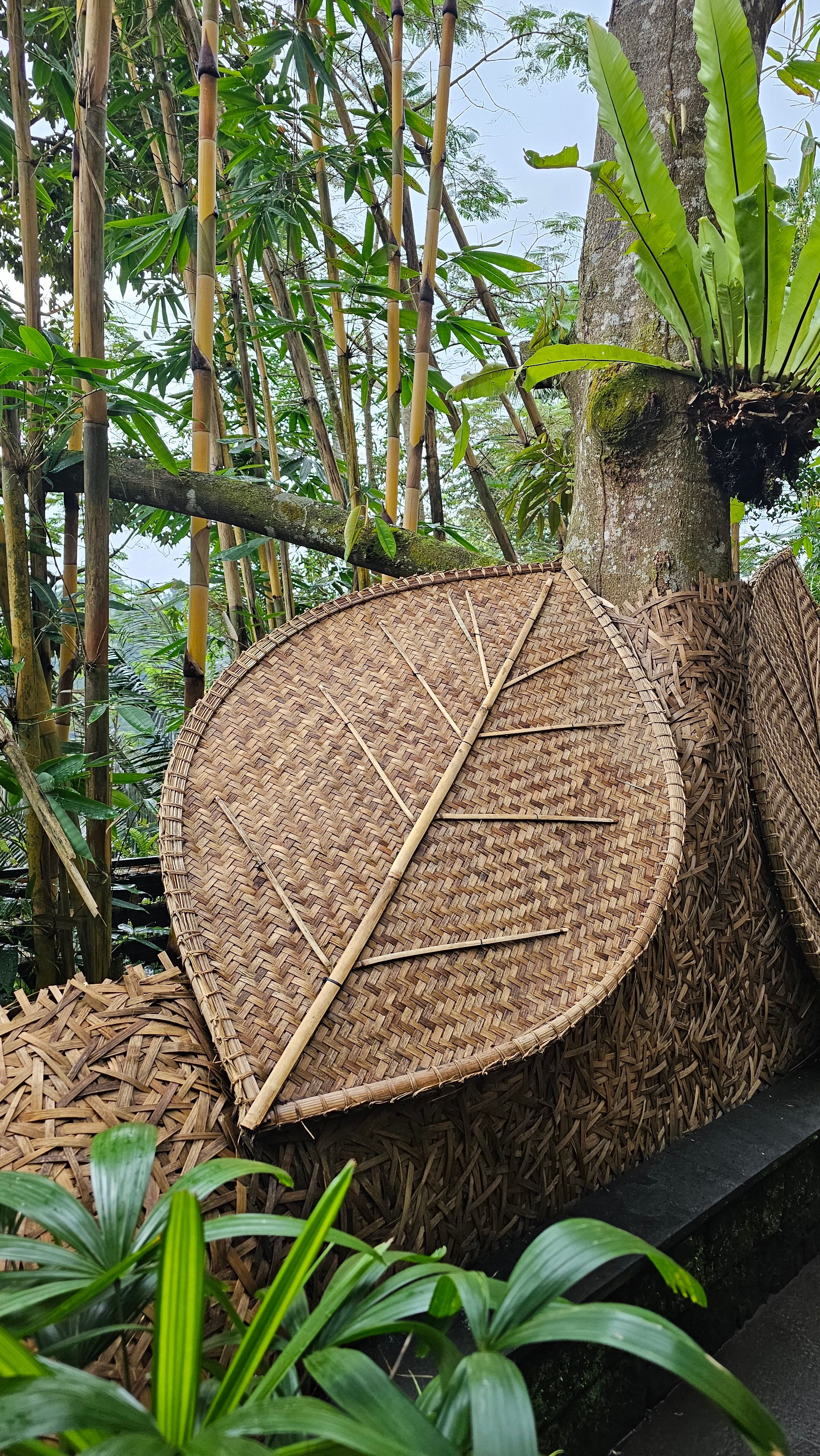 Traditional Bamboo Weaving Art in Bali · Free Stock Photo