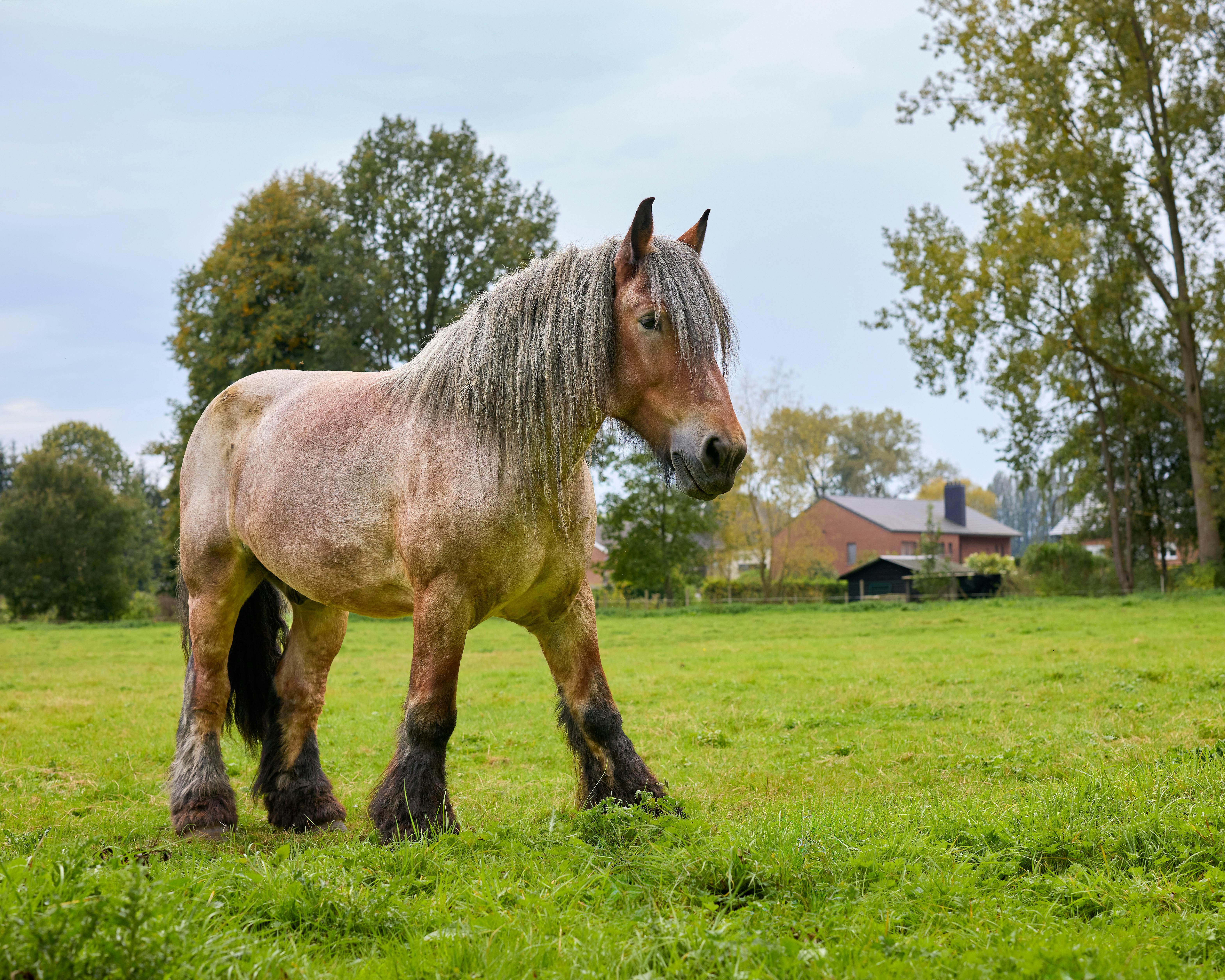 Large Photos, Download The BEST Free Large Stock Photos & HD Images