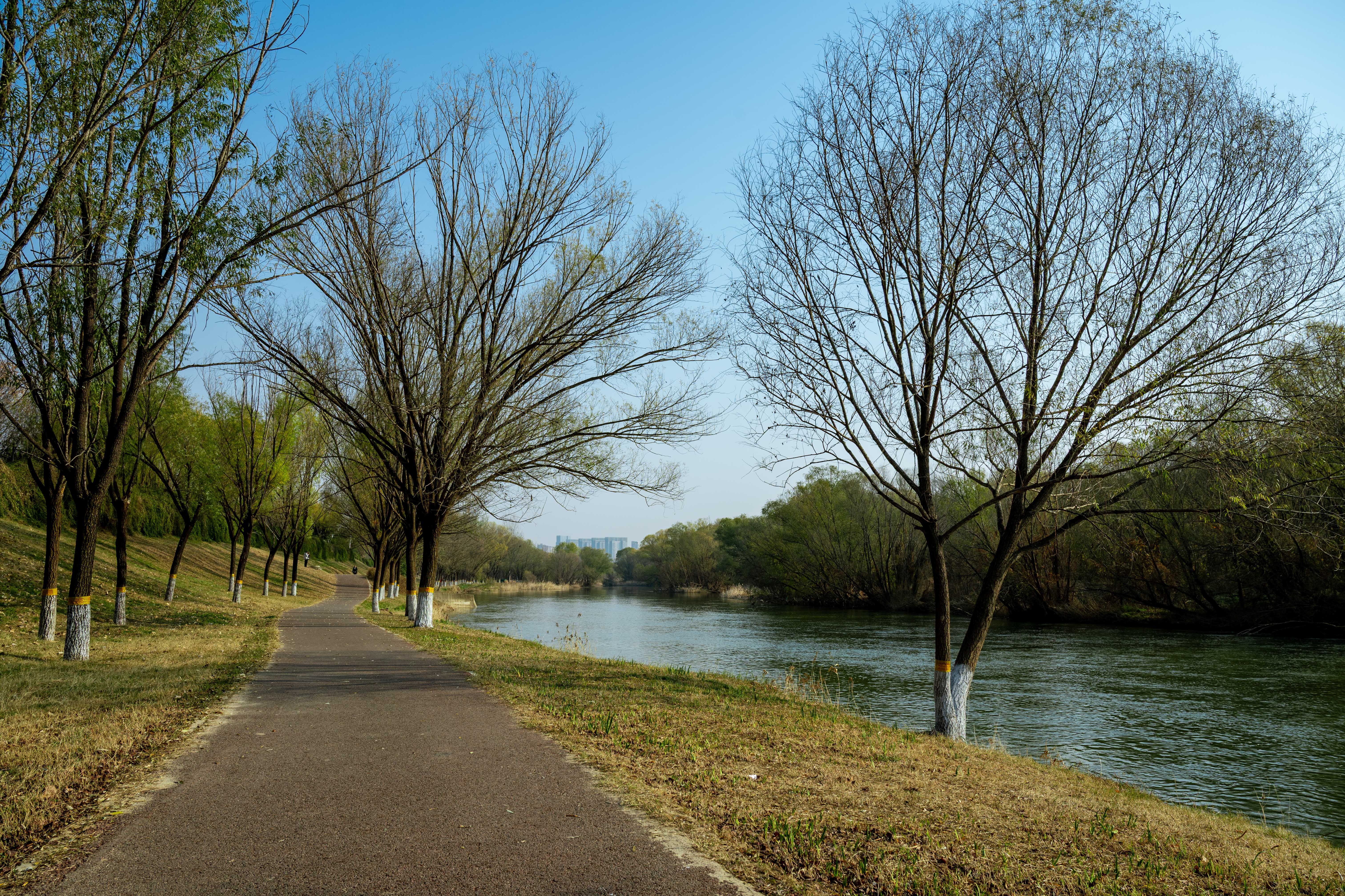 Serene River Pathway in Early Spring · Free Stock Photo