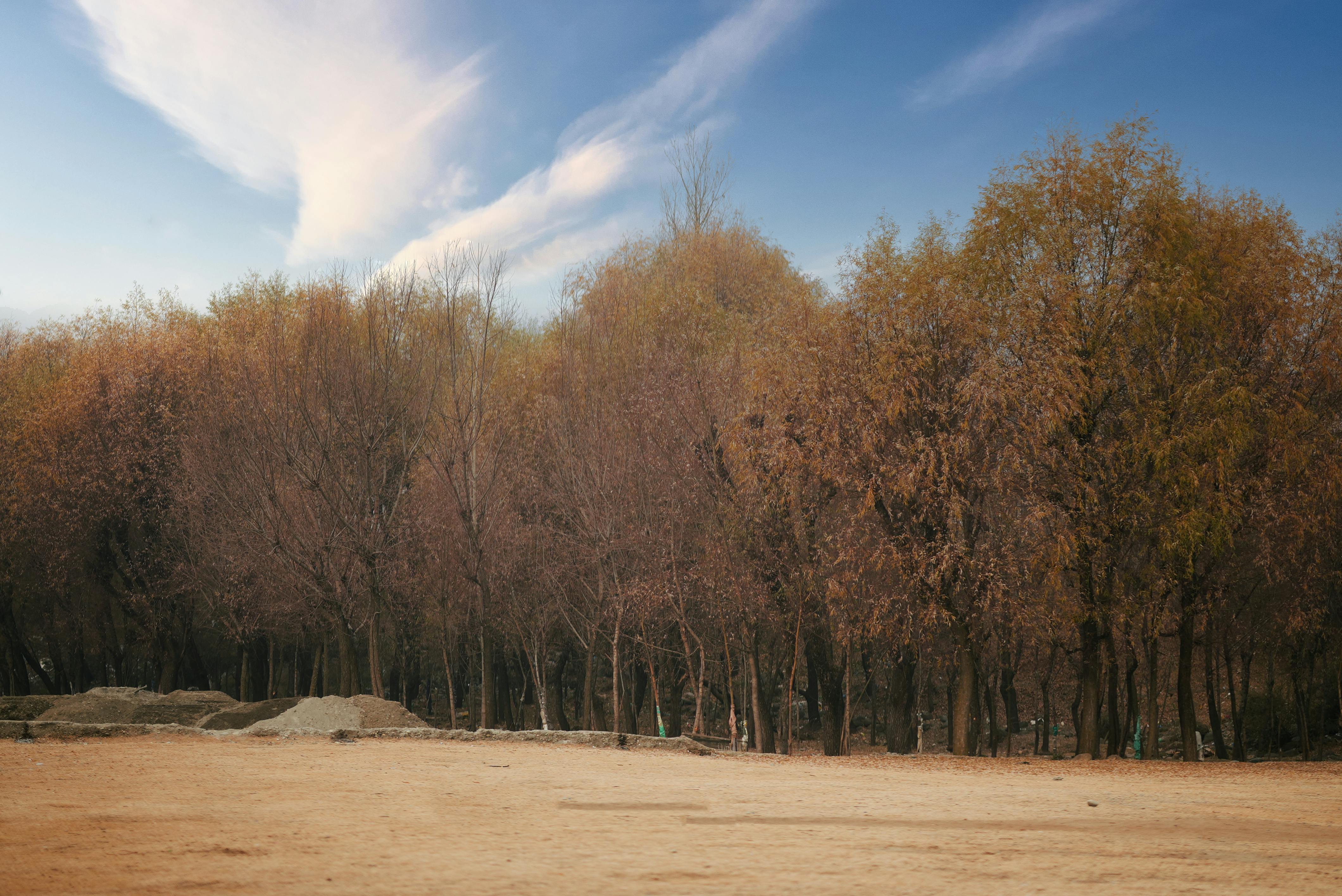 Capgemini+Wallpaper Photos, Download The BEST Free Capgemini+Wallpaper ...