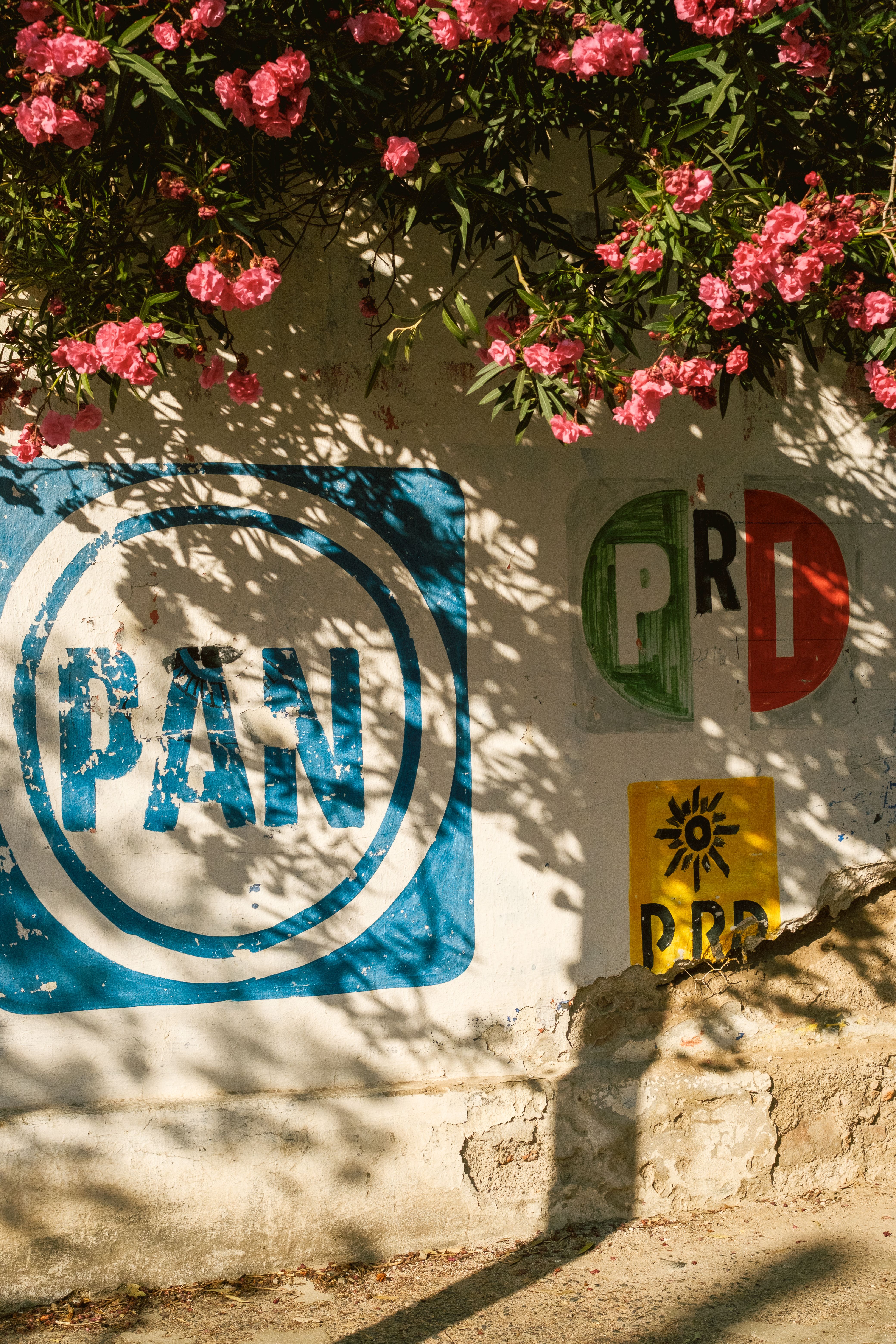 Wall with Political Party Logos and Flowers · Free Stock Photo