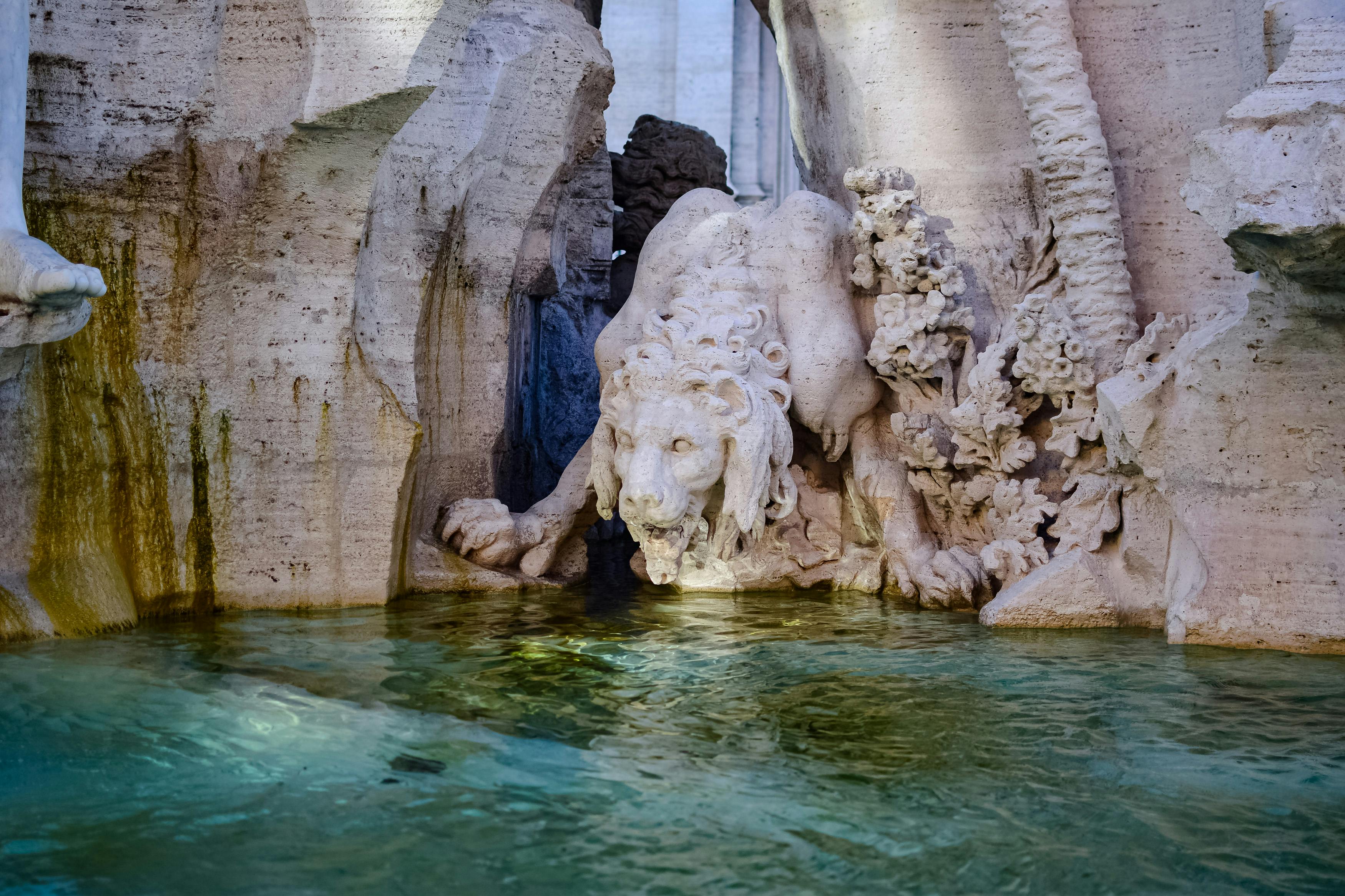 Capal Photo Photos, Download The BEST Free Capal Photo Stock Photos ...