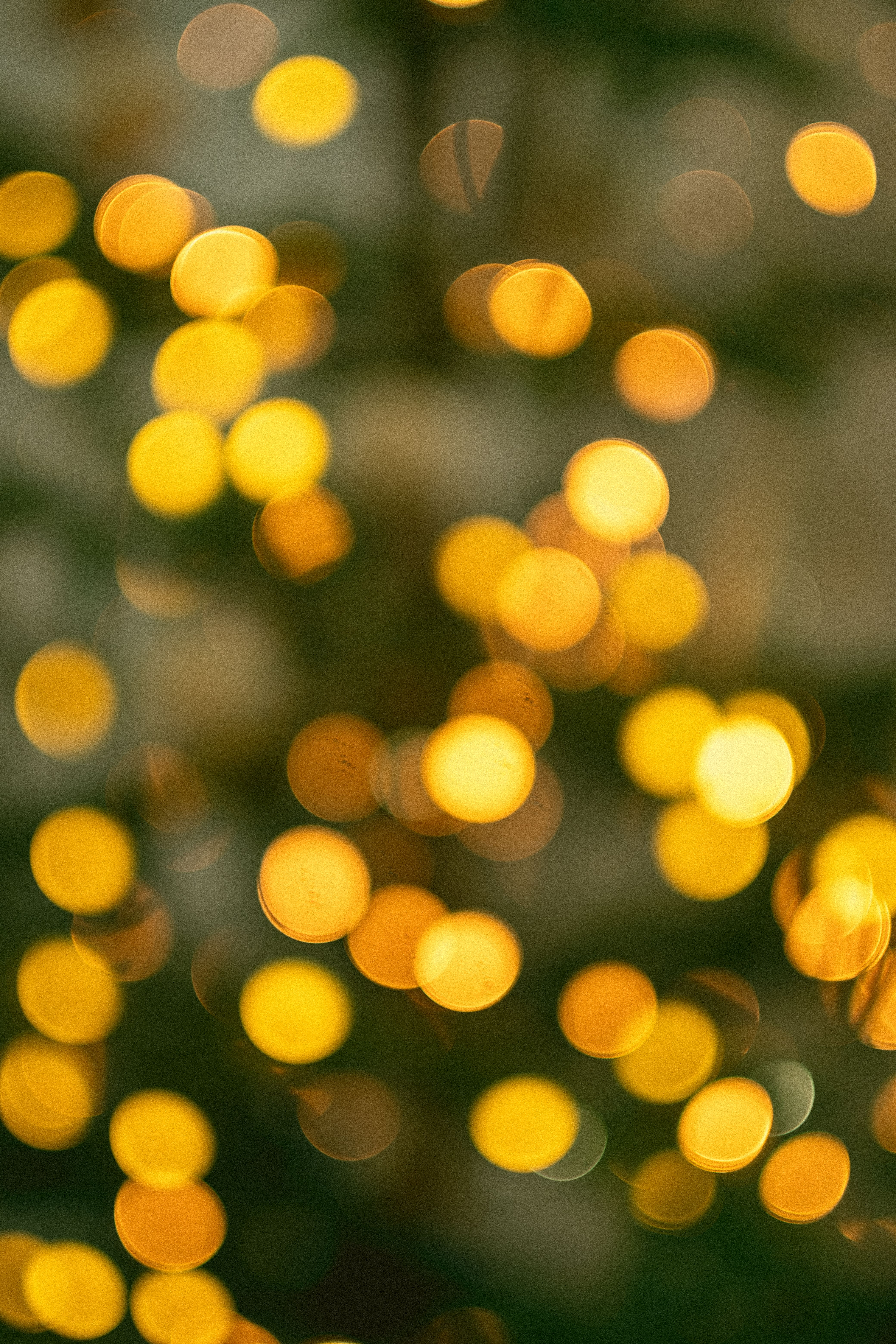 Ambience Background Videos Photos, Download The BEST Free Ambience ...