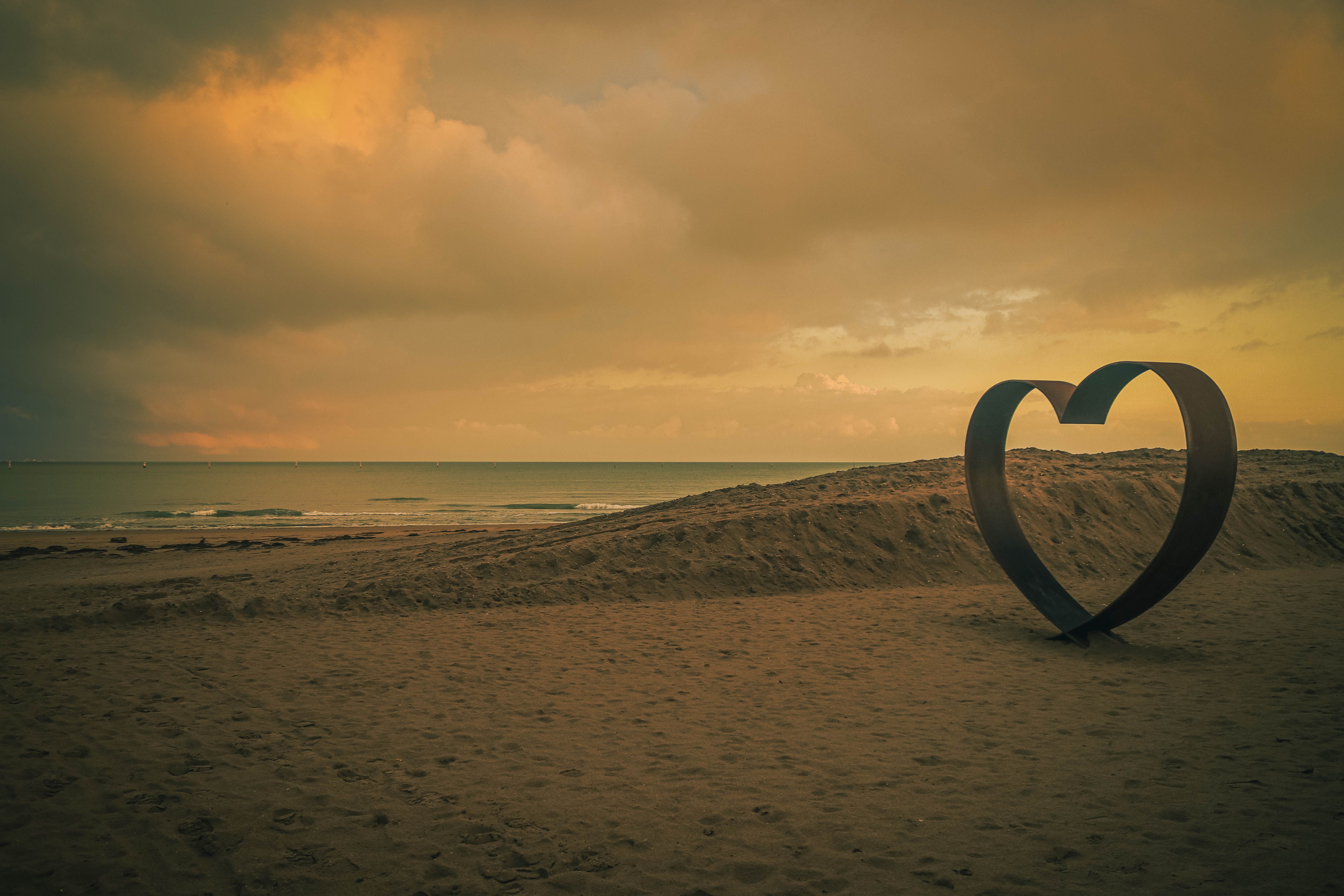 Heart Failure Photos, Download The BEST Free Heart Failure Stock Photos ...