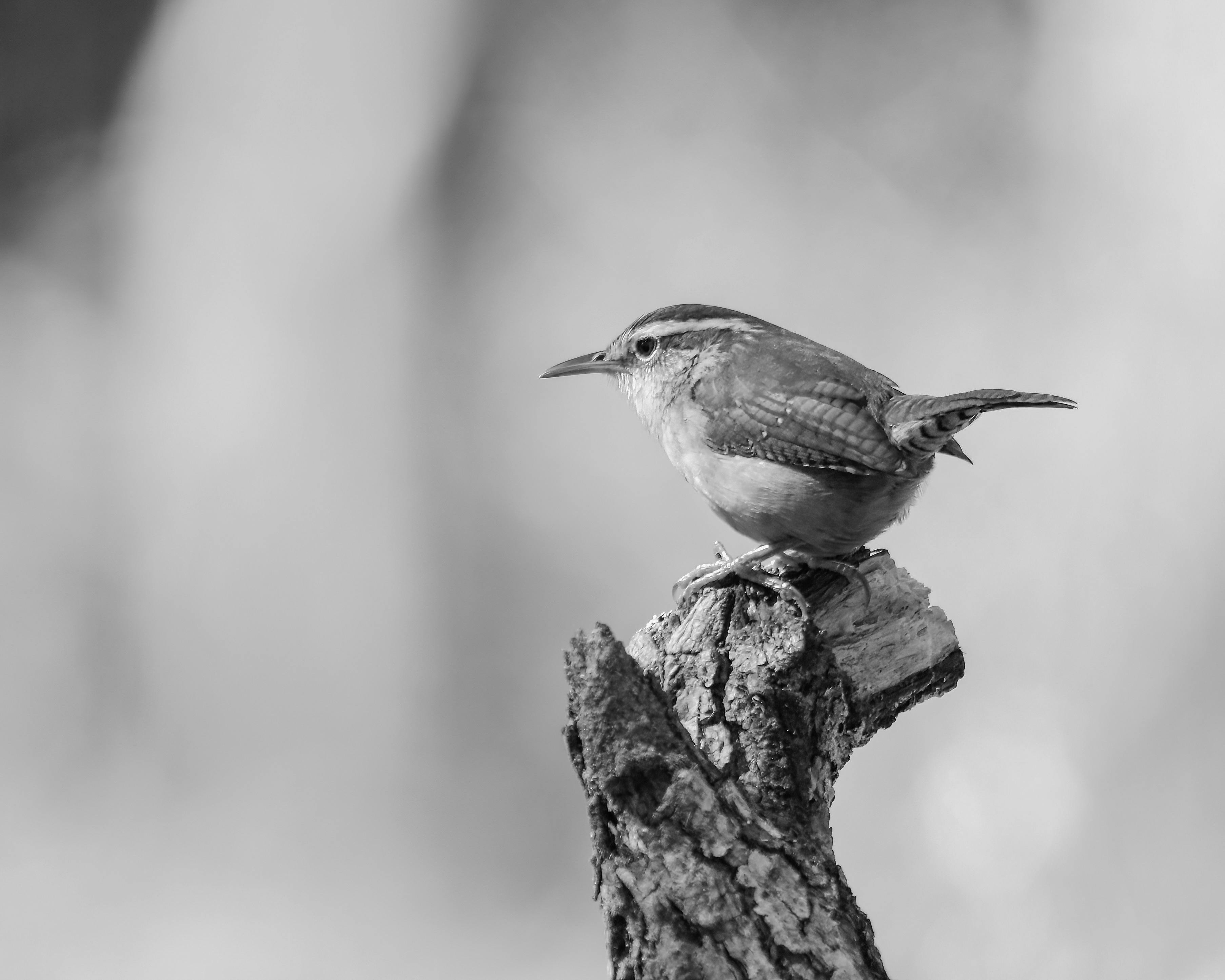 Free+Telegram+ +Pinklovingtg Photos, Download The BEST Free Free ...