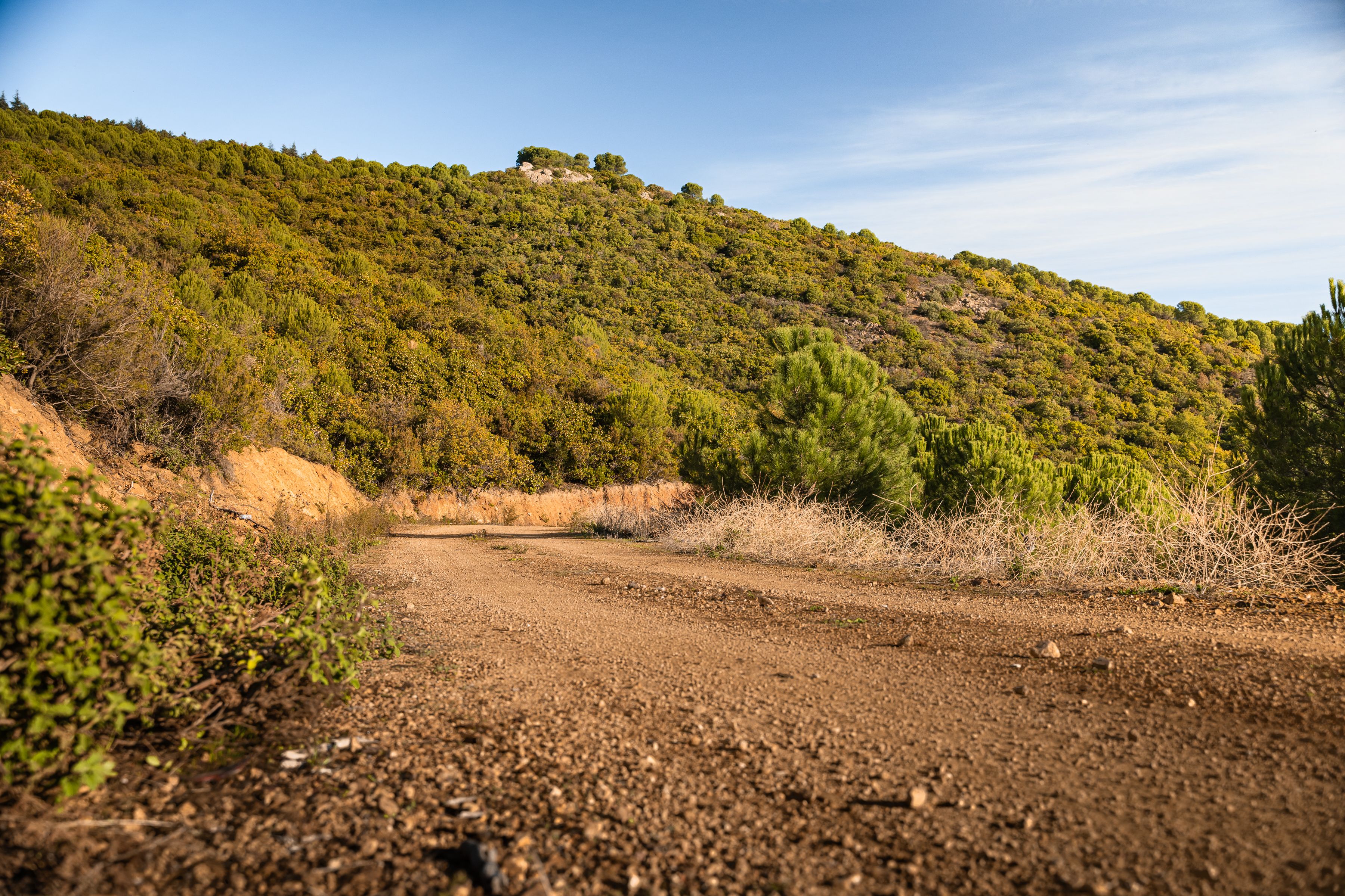 Scenic Dirt Path through Turkish Hillside · Free Stock Photo