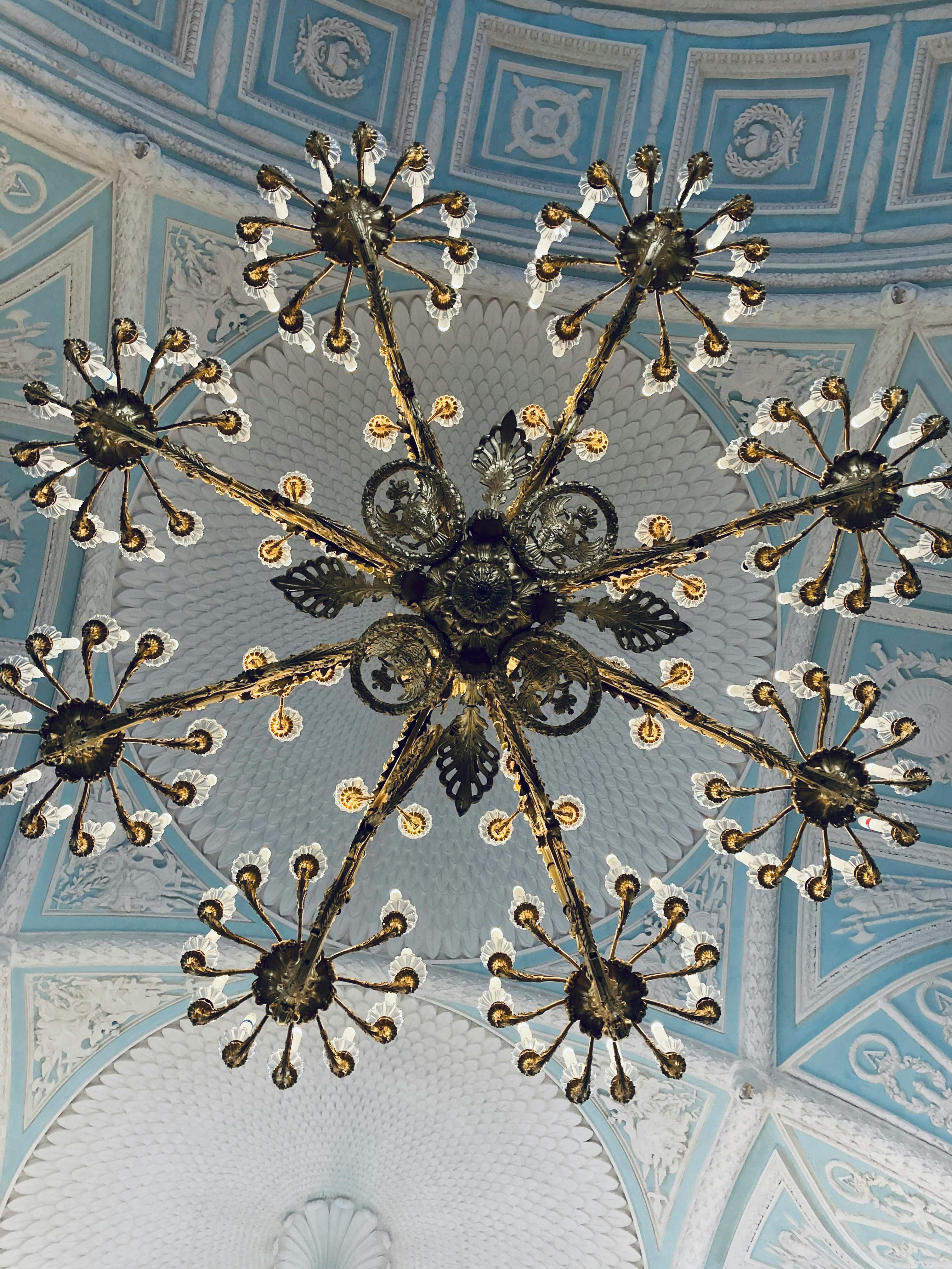 Fancy Photos, Download The BEST Free Fancy Stock Photos & HD Images