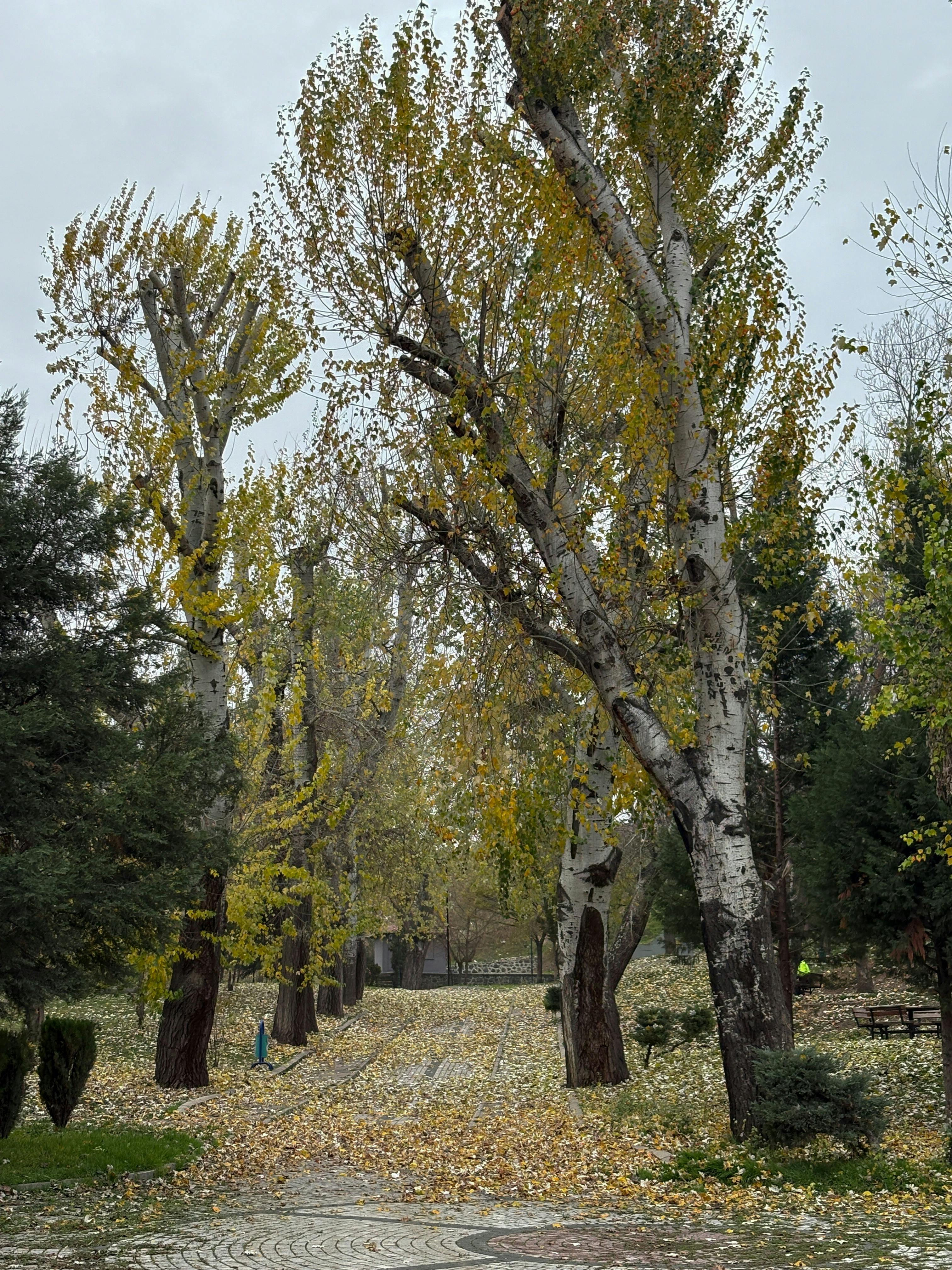 Nature In November Photos, Download The BEST Free Nature In November ...