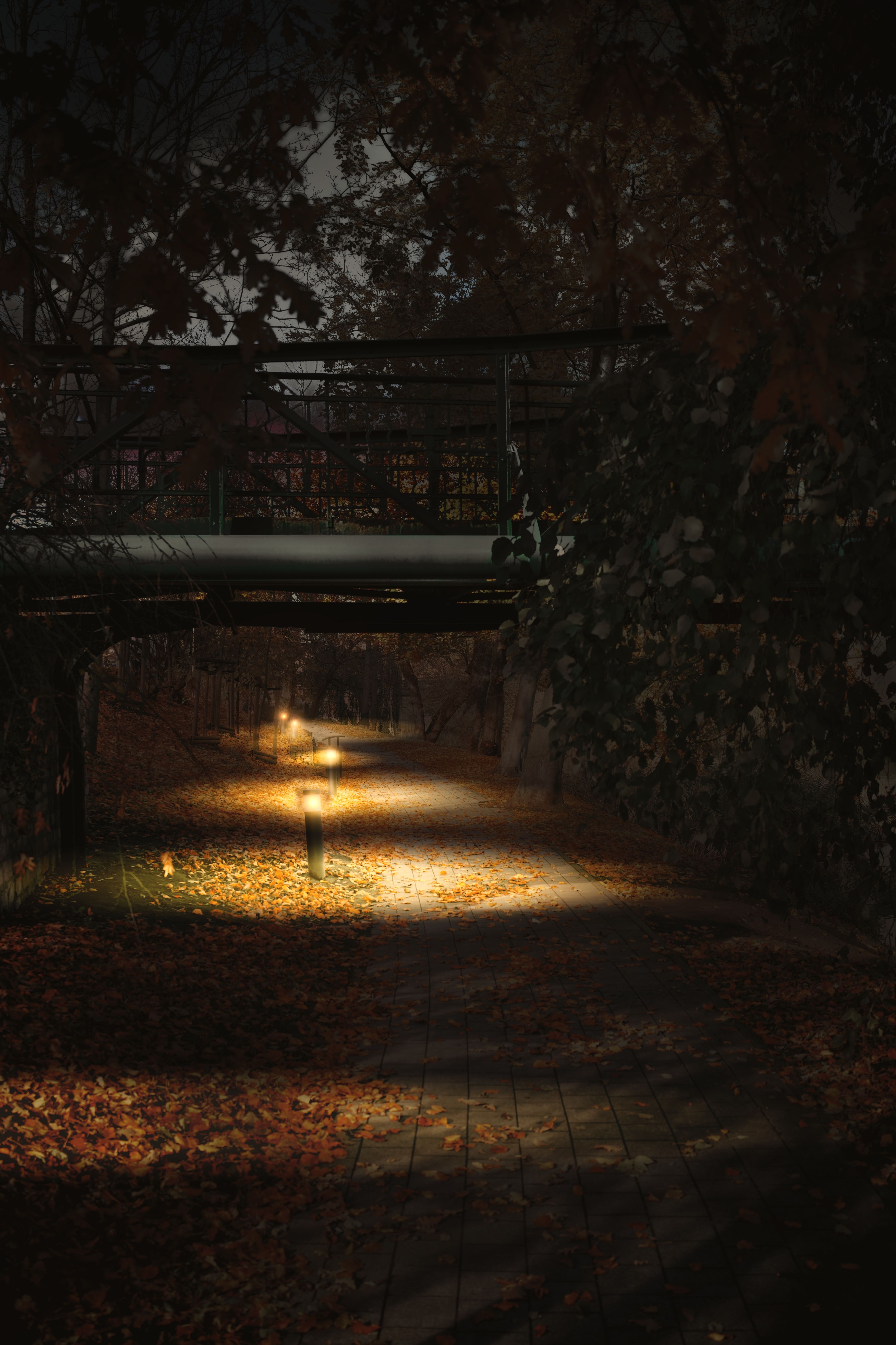 Mysterious Autumn Night Pathway with Lanterns · Free Stock Photo