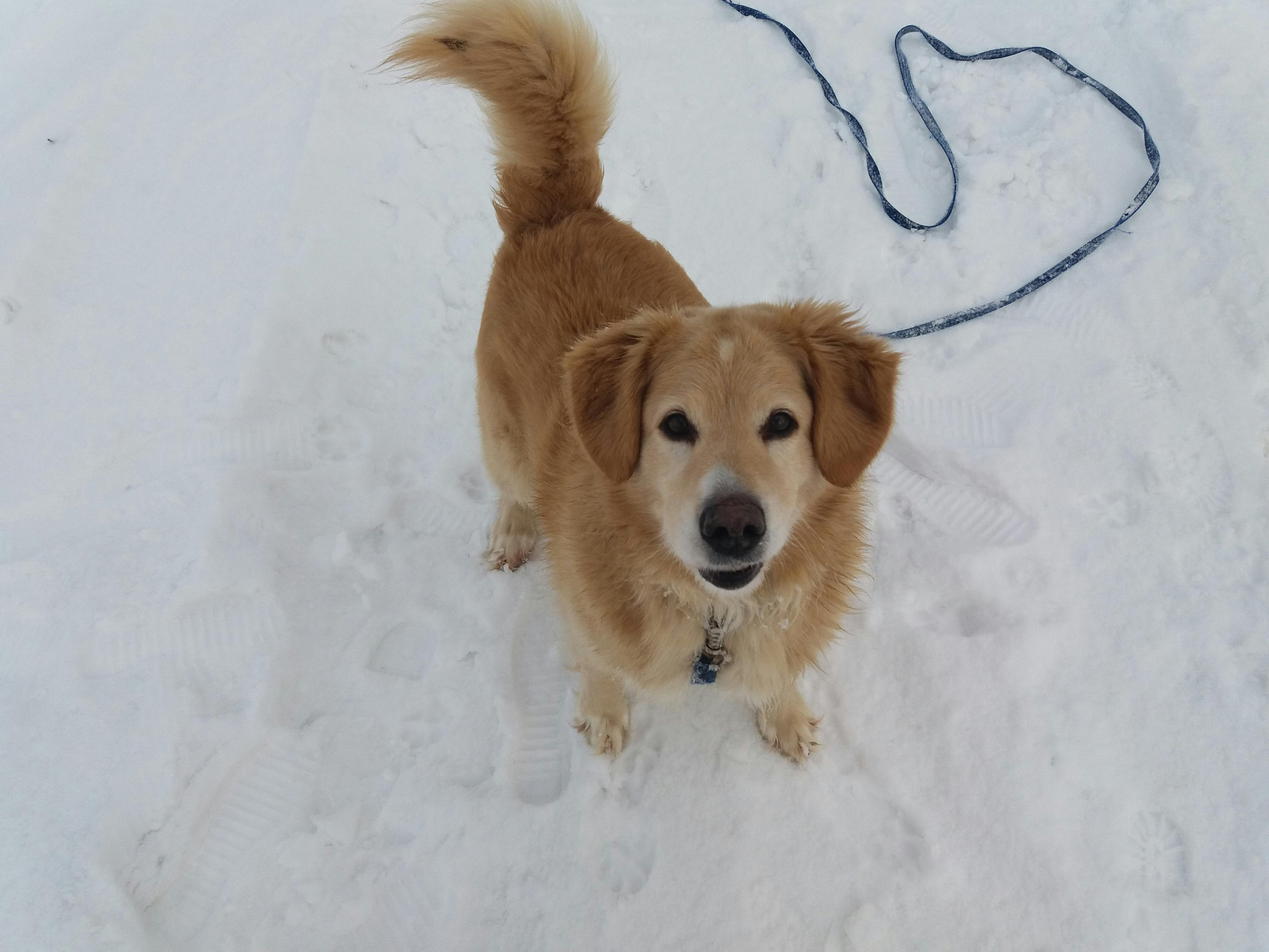 Best+Goon+Pictures Photos, Download The BEST Free Best+Goon+Pictures ...