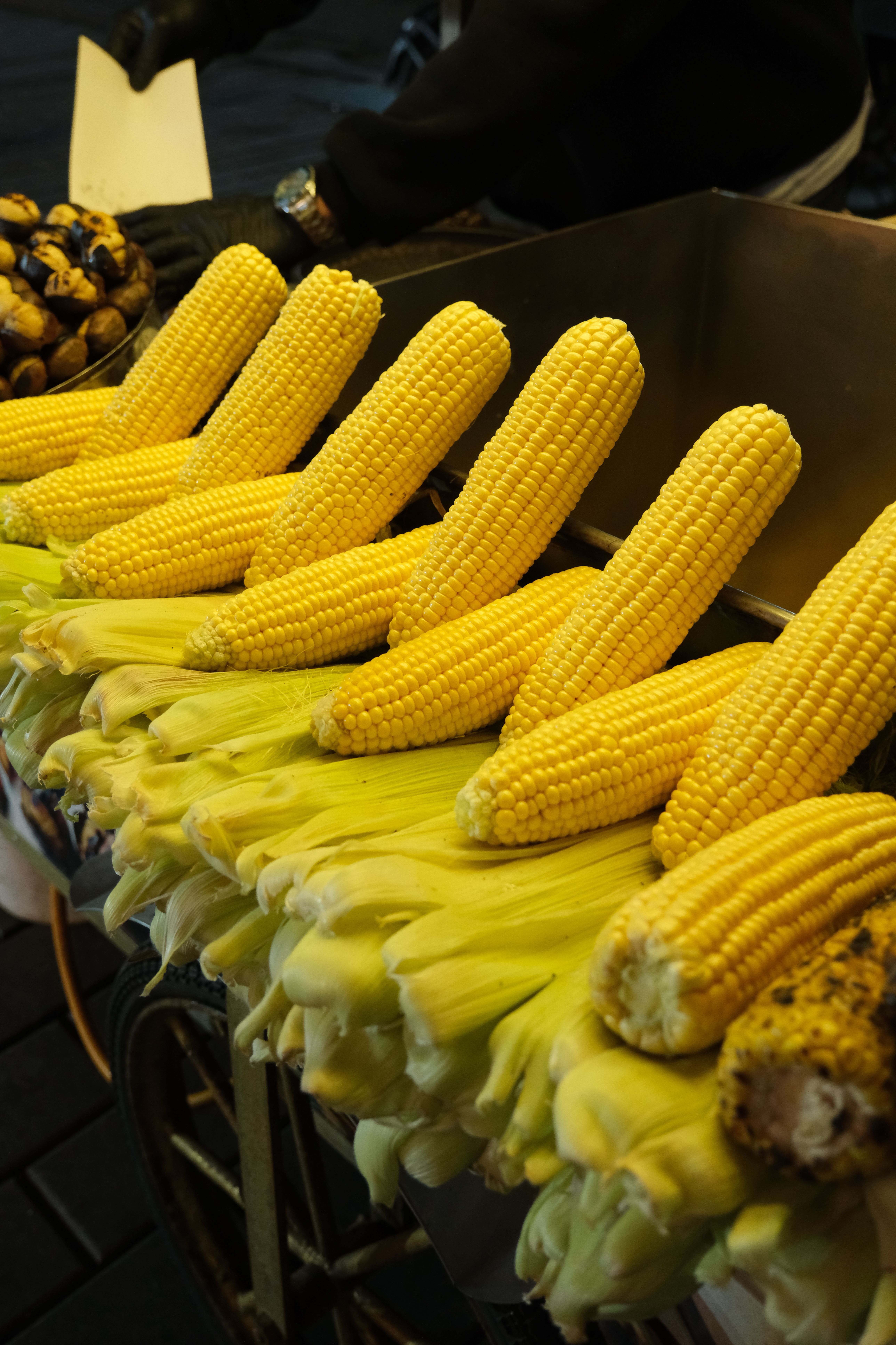 Fresh Corn Display at Market Stall · Free Stock Photo