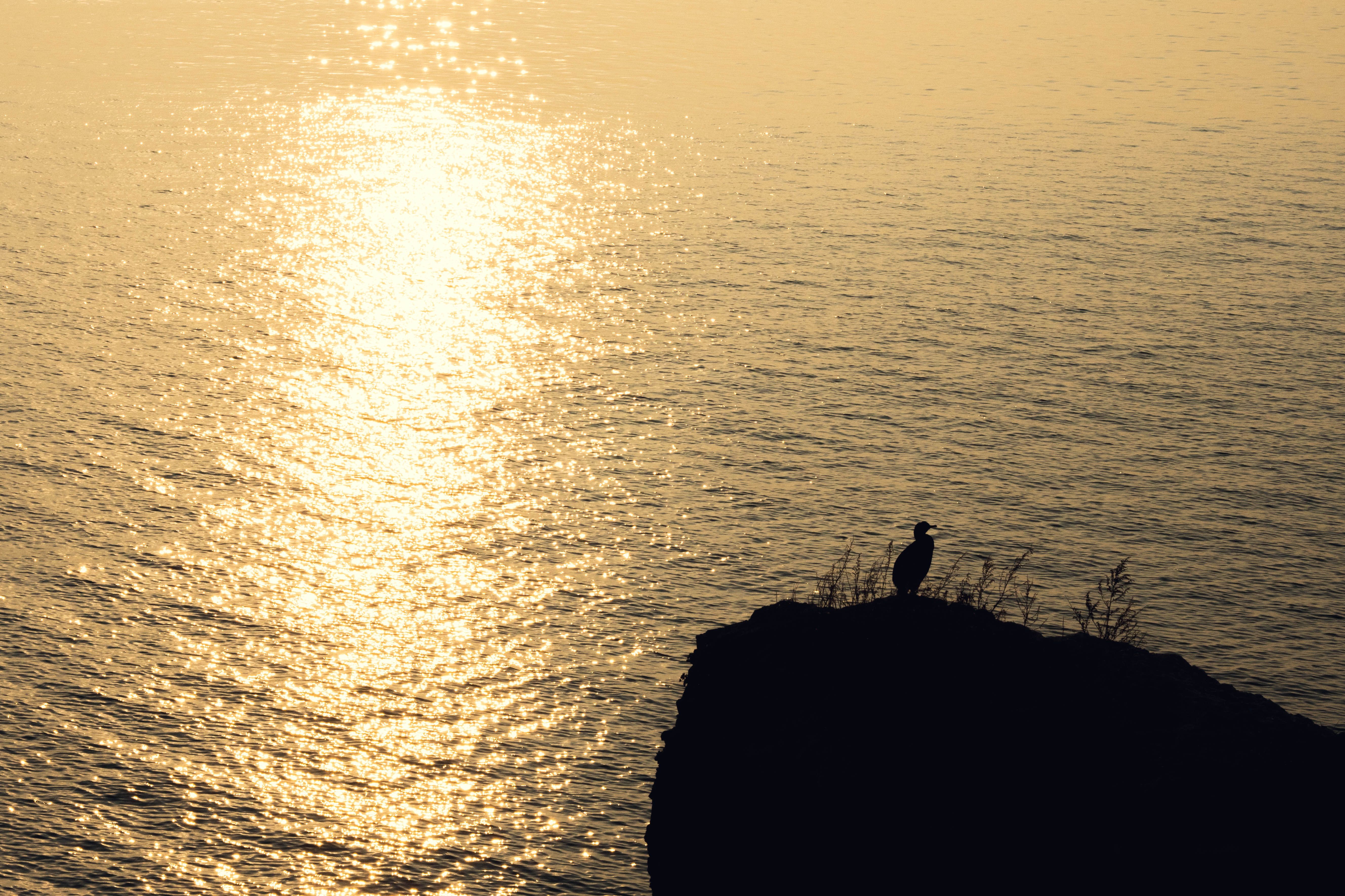 Sea Beatch Sunset Photos, Download The BEST Free Sea Beatch Sunset ...
