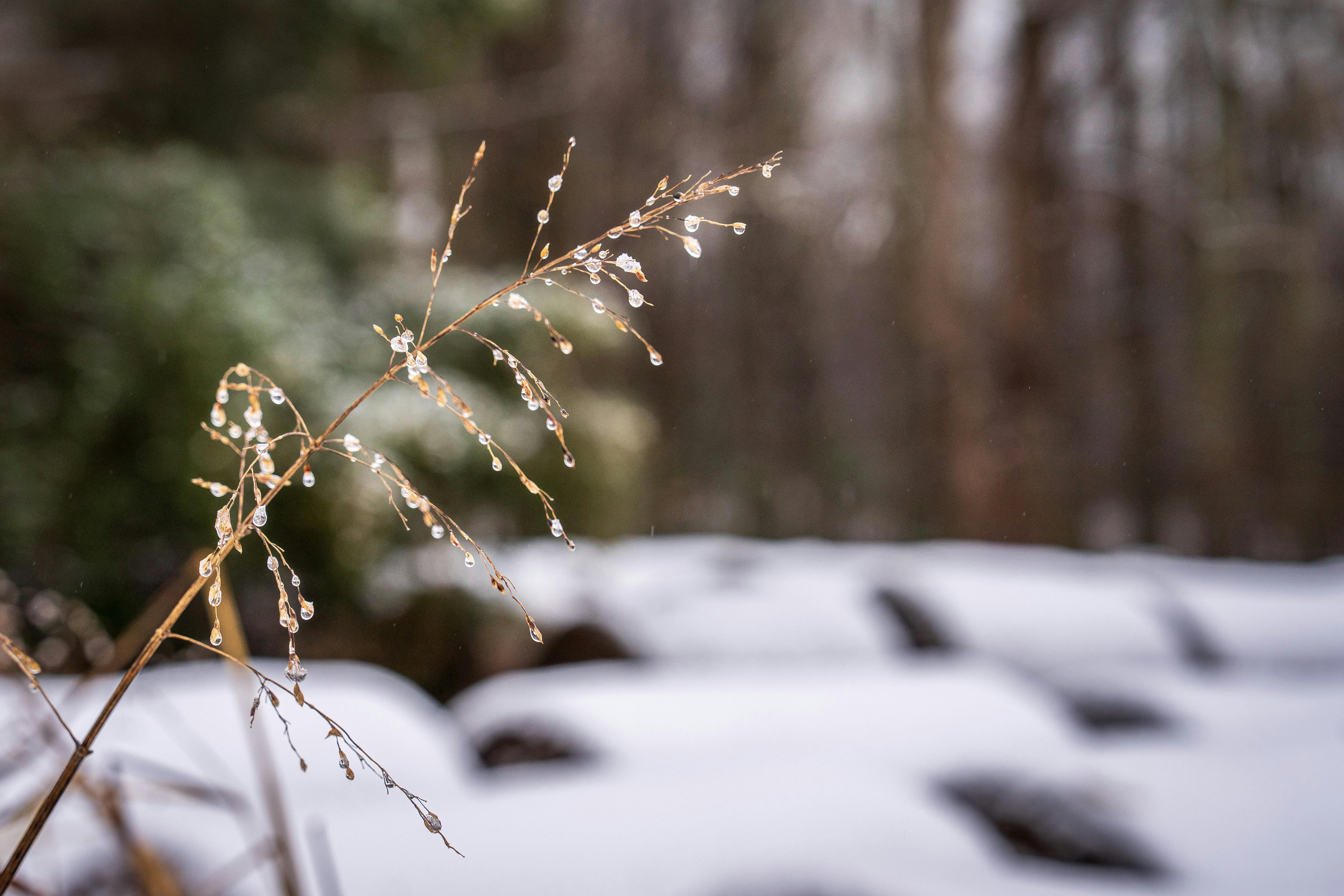 Desktop Backgrounds Winter Snowflakes Photos, Download The BEST Free ...