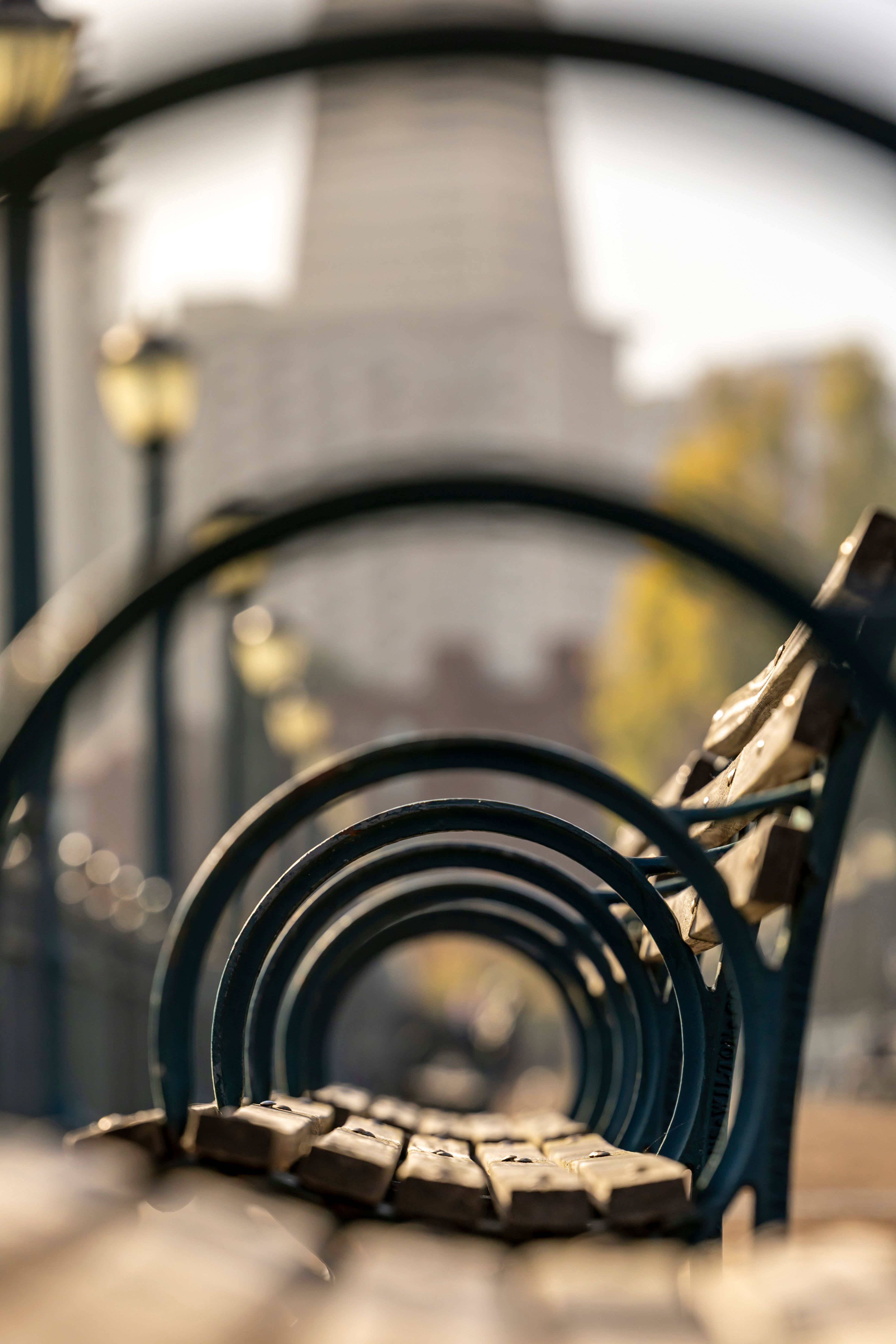 Artistic Perspective of Park Bench with City Backdrop · Free Stock Photo