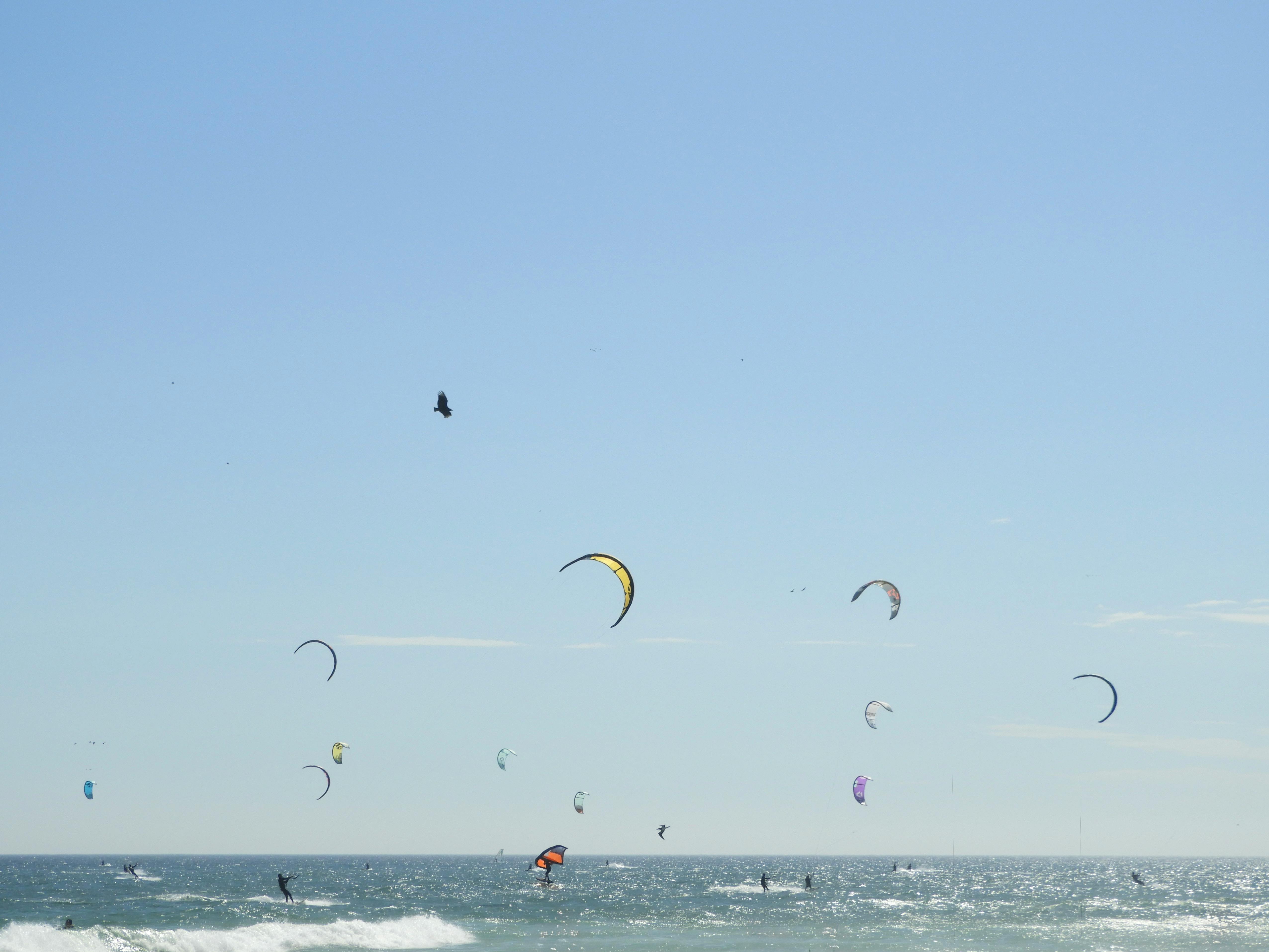 Kite Images Photos, Download The BEST Free Kite Images Stock Photos ...