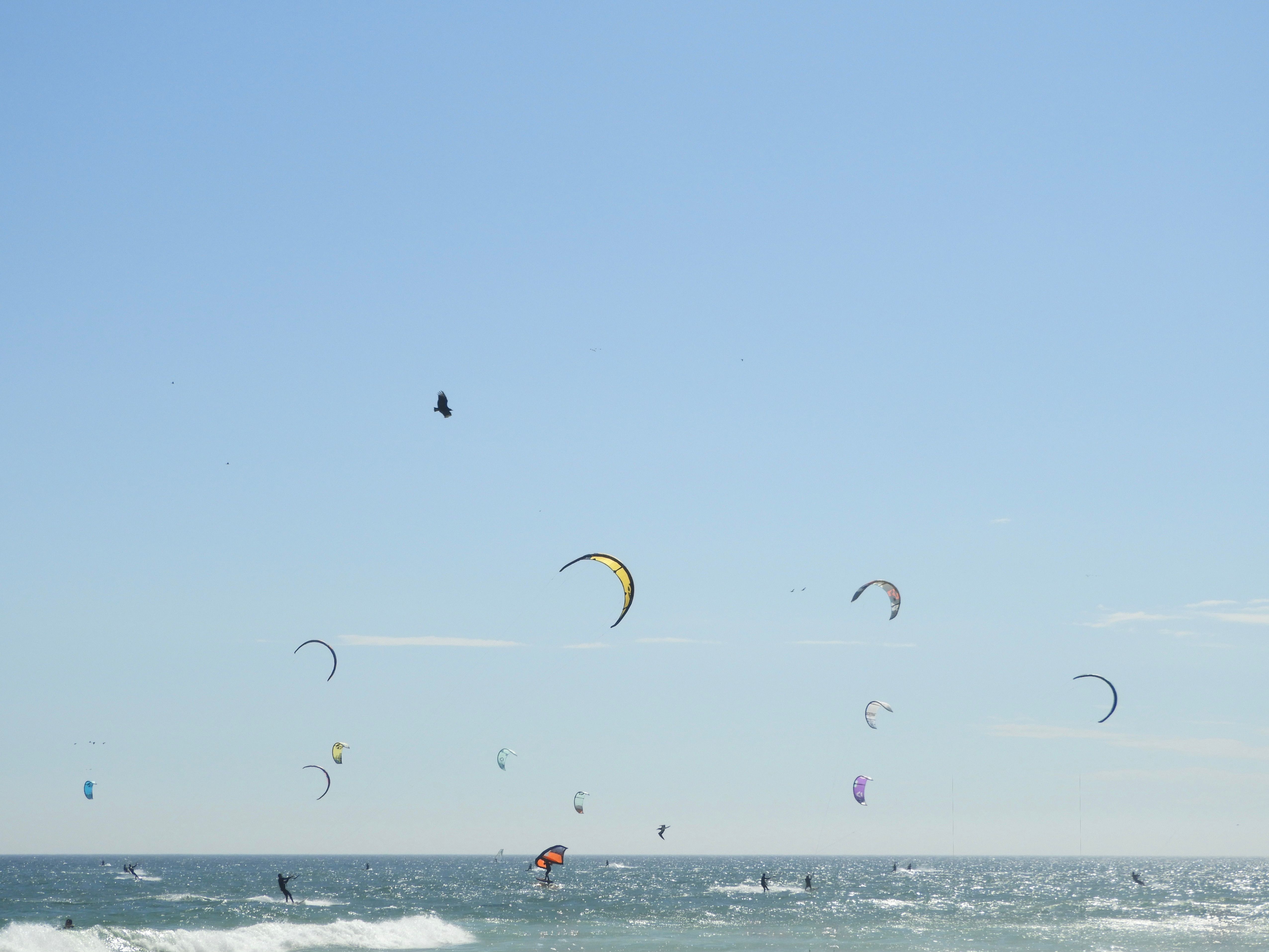 Kitesurfers Gliding Over Ocean Waves Under Clear Sky · Free Stock Photo