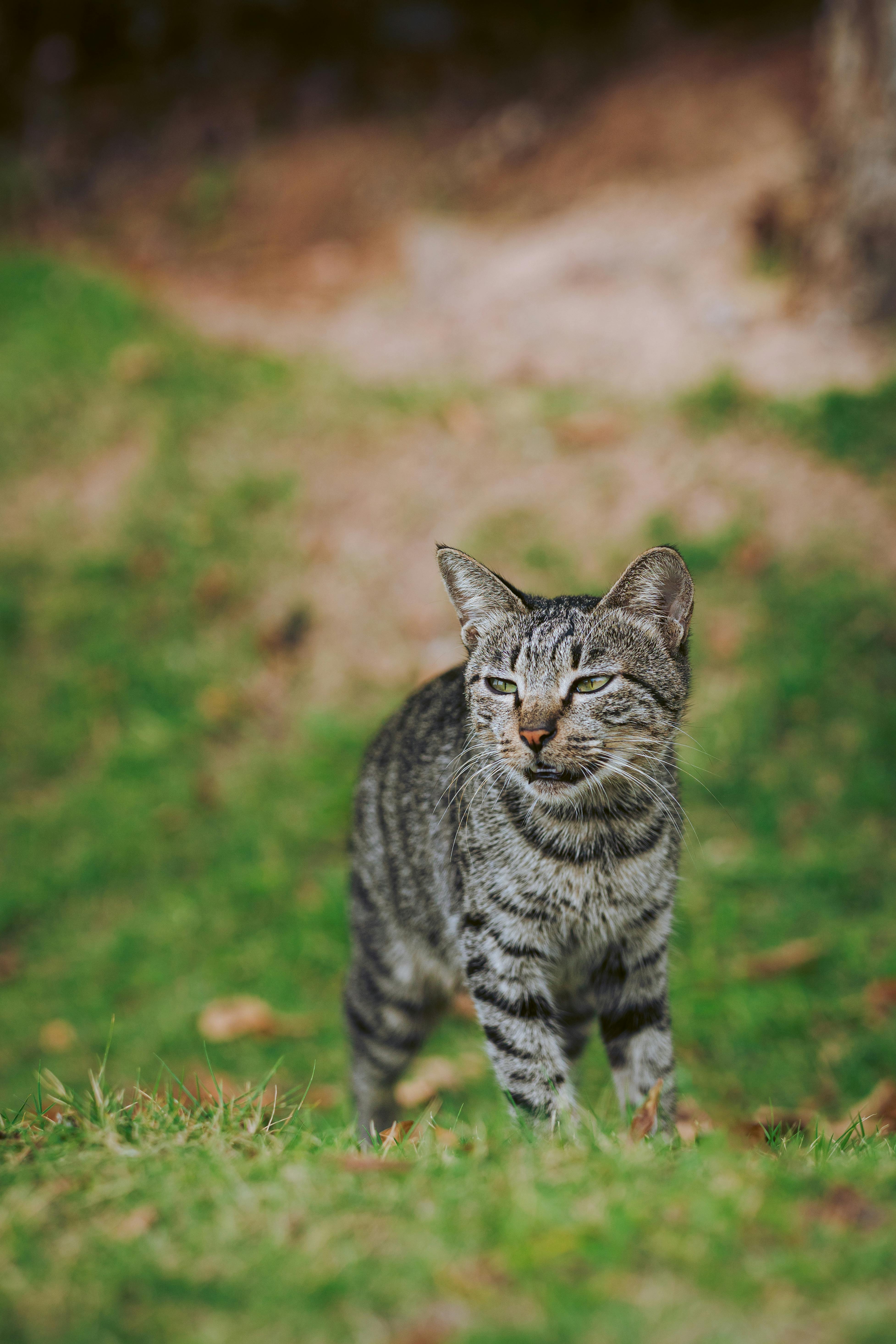 Very,+Very+Small Photos, Download The BEST Free Very,+Very+Small Stock ...