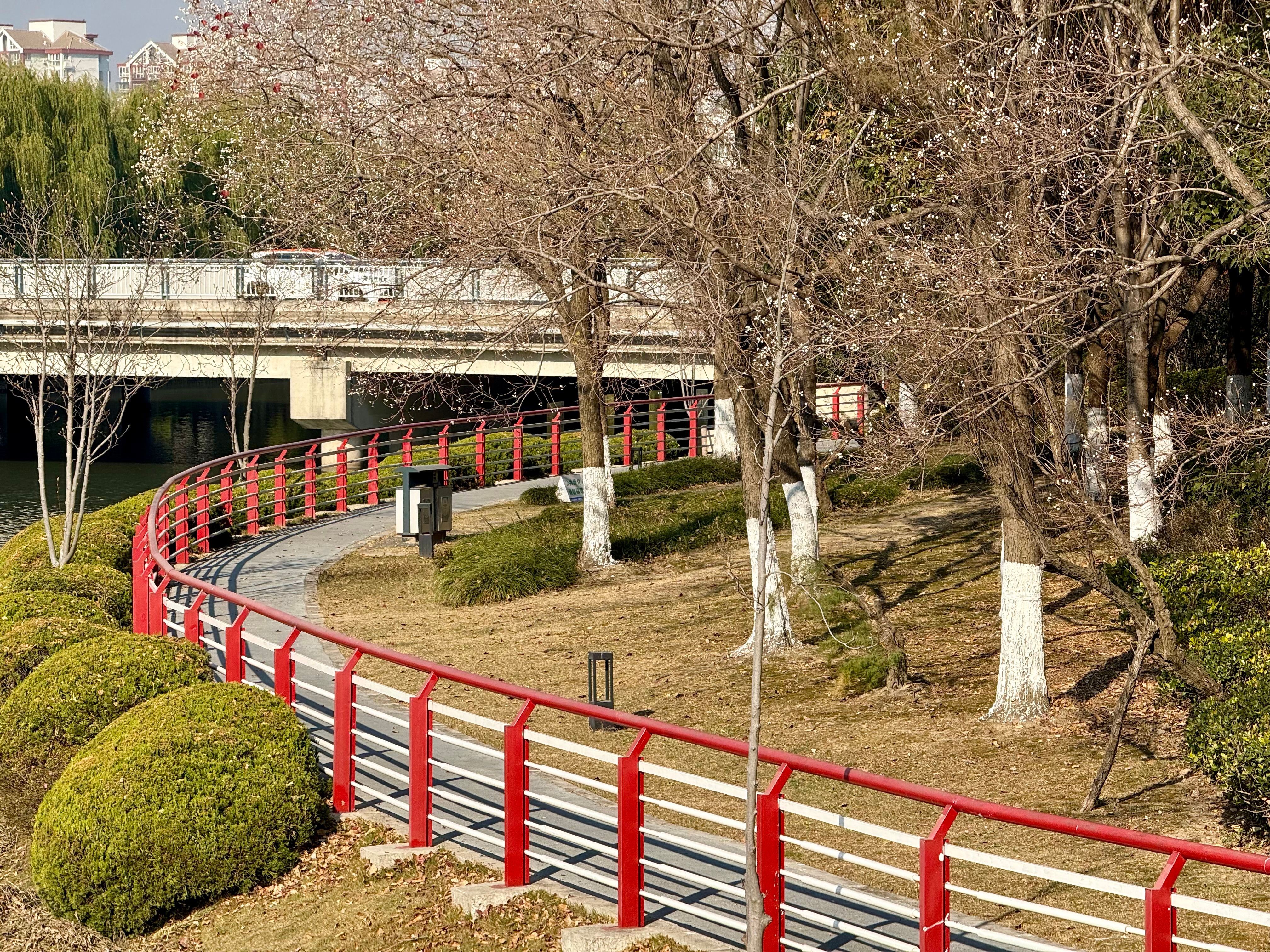 Scenic Park Path with Red Railings in Shanghai · Free Stock Photo