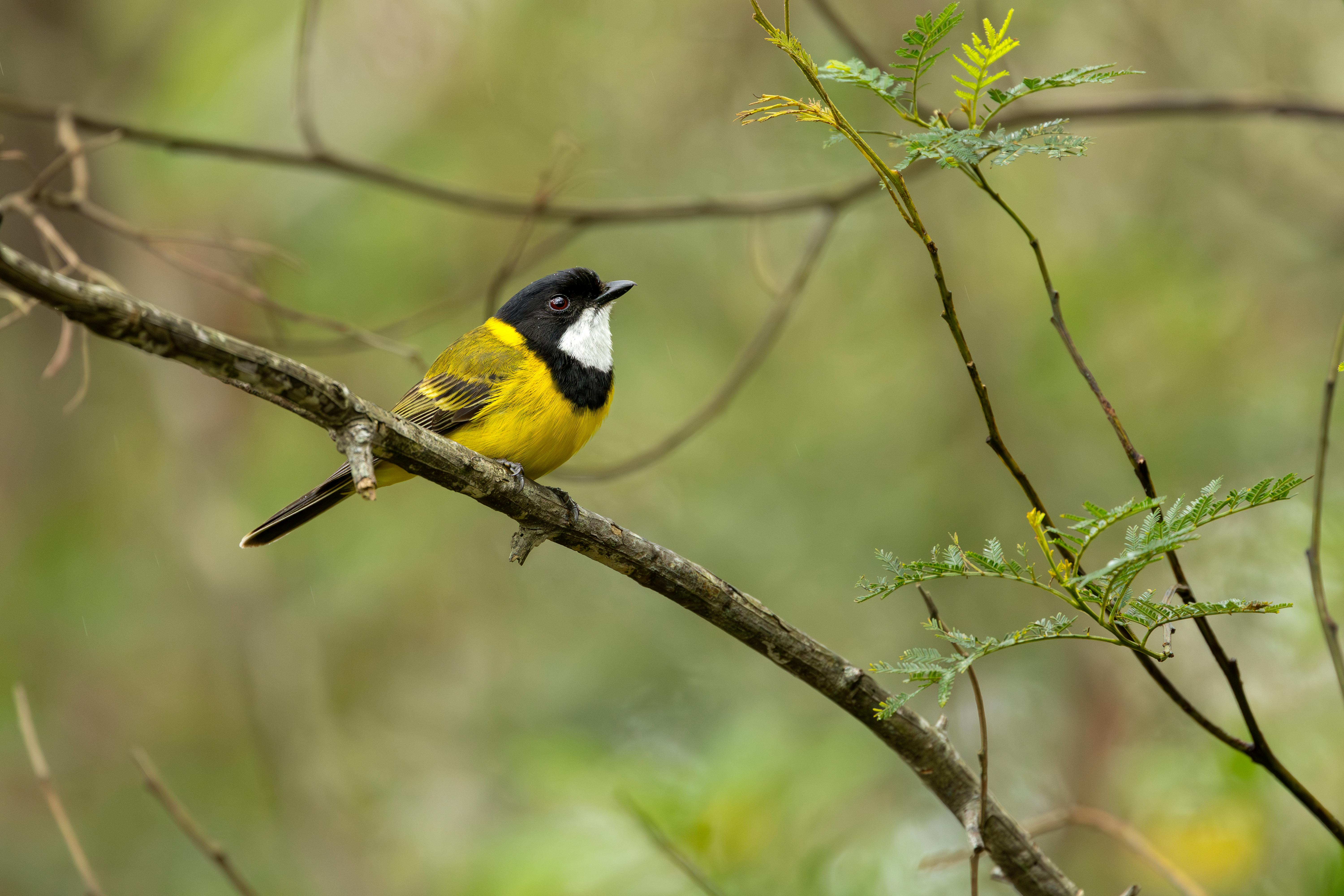 Imgsrc+New+Adress Photos, Download The BEST Free Imgsrc+New+Adress ...