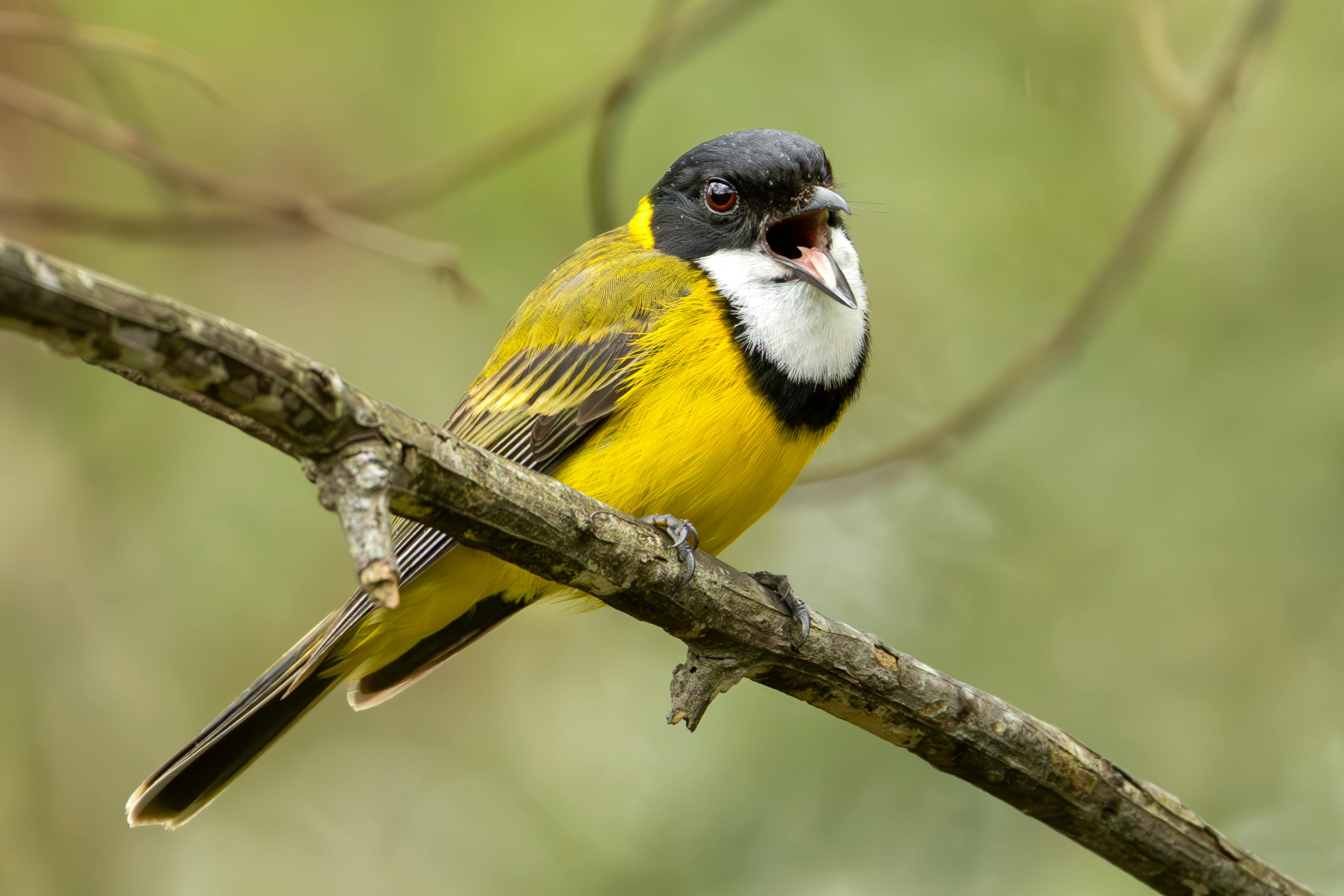 Imgsrc+New+Adress Photos, Download The BEST Free Imgsrc+New+Adress ...