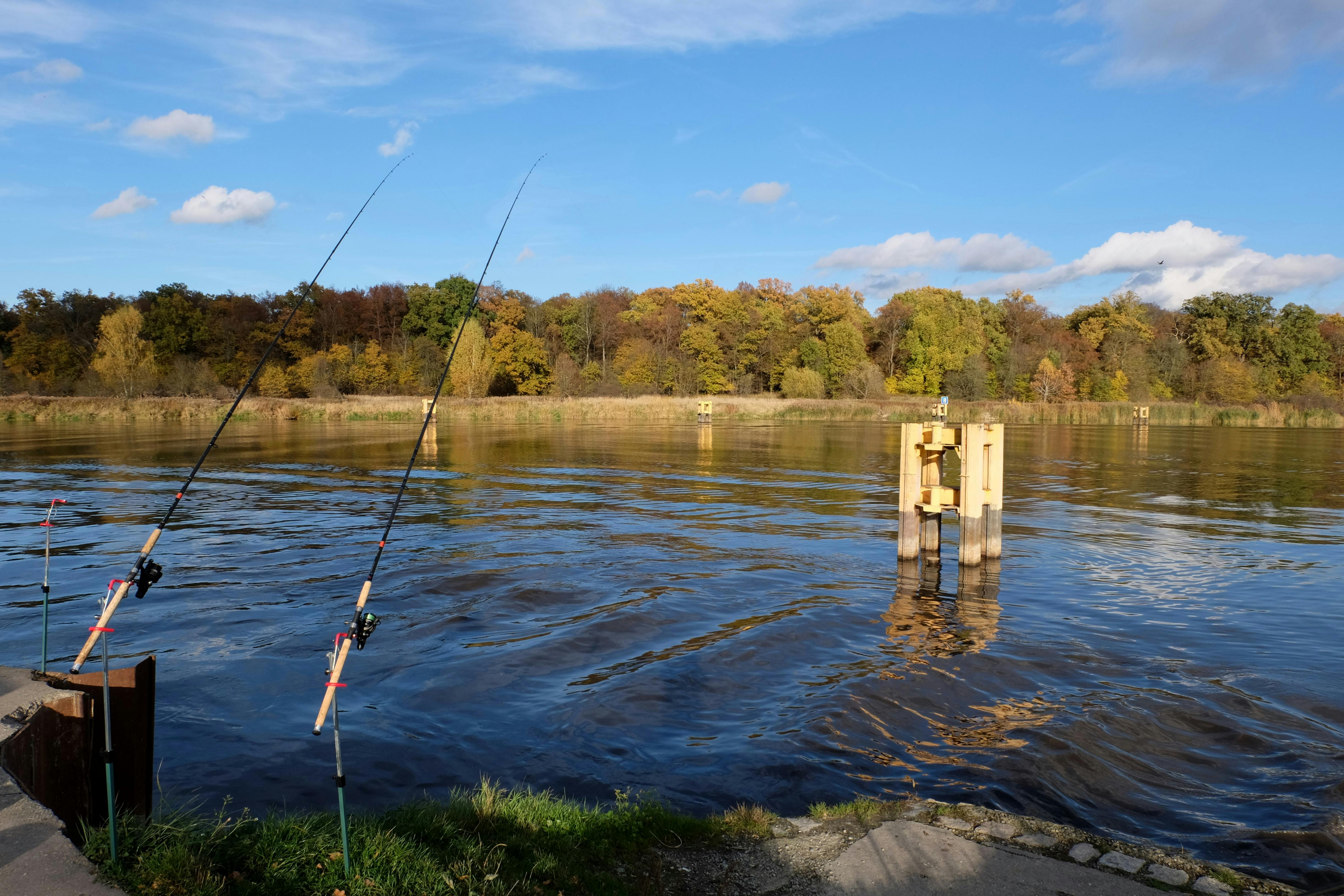 Crappie Fish Photos, Download The BEST Free Crappie Fish Stock Photos ...