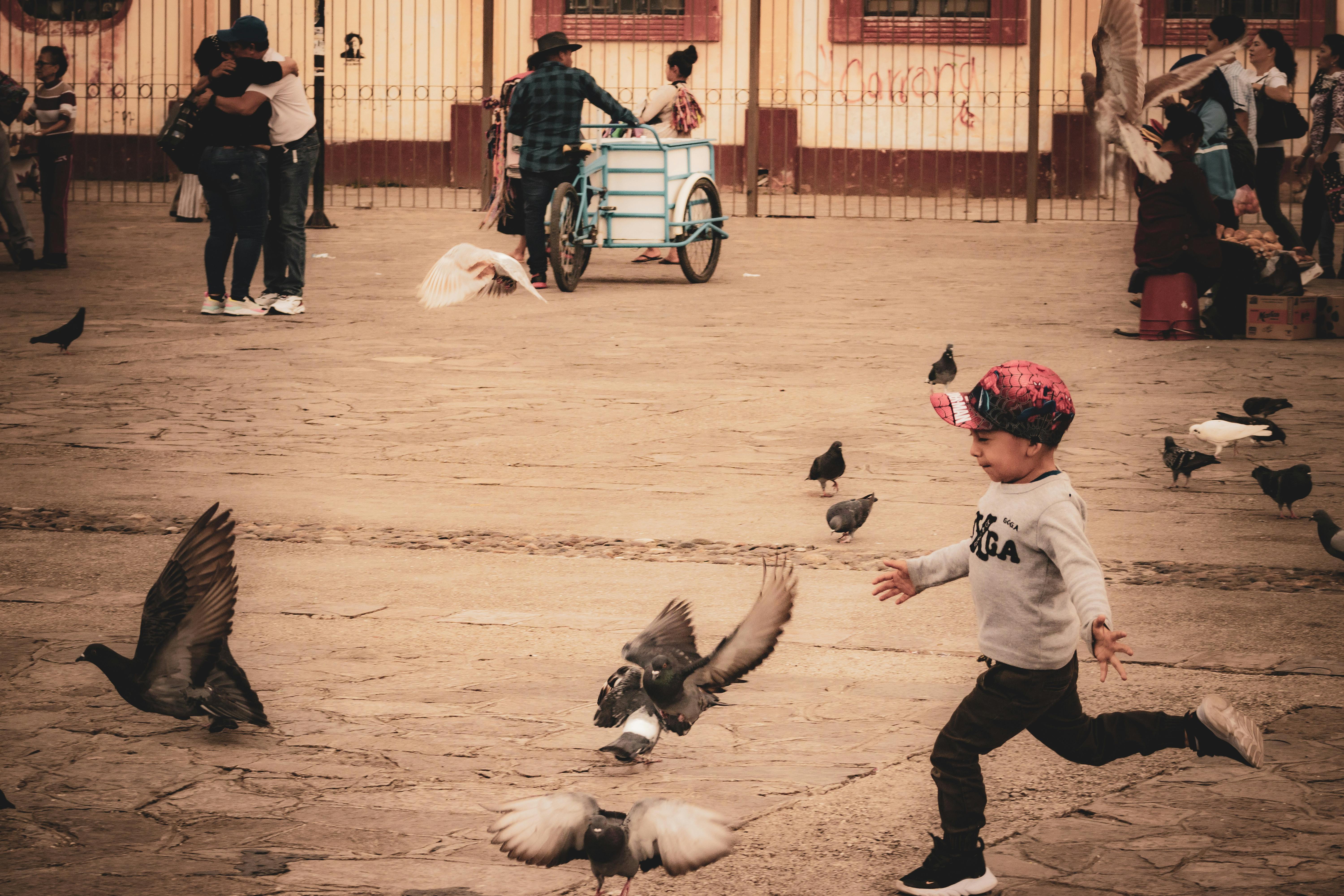 Square Root 123 Photos, Download The BEST Free Square Root 123 Stock ...