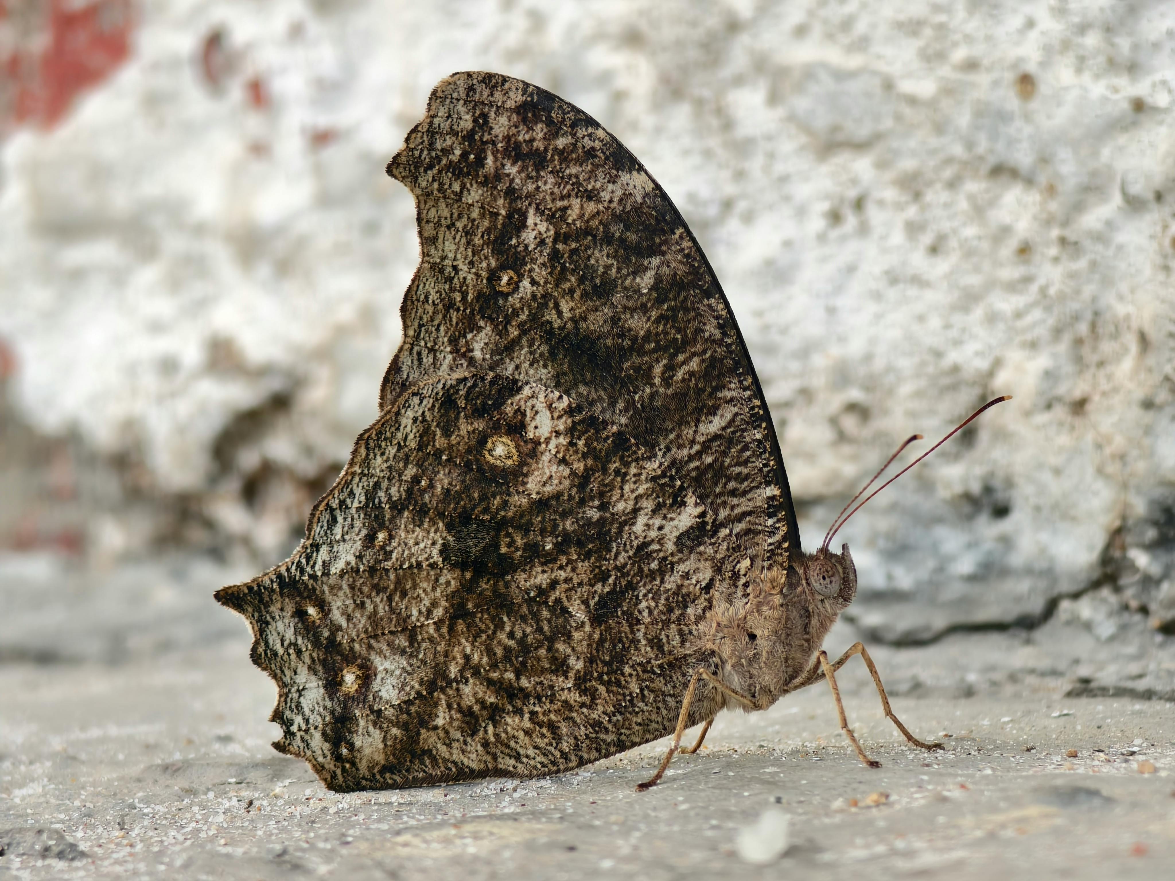 Transition Photos, Download The BEST Free Transition Stock Photos & HD ...