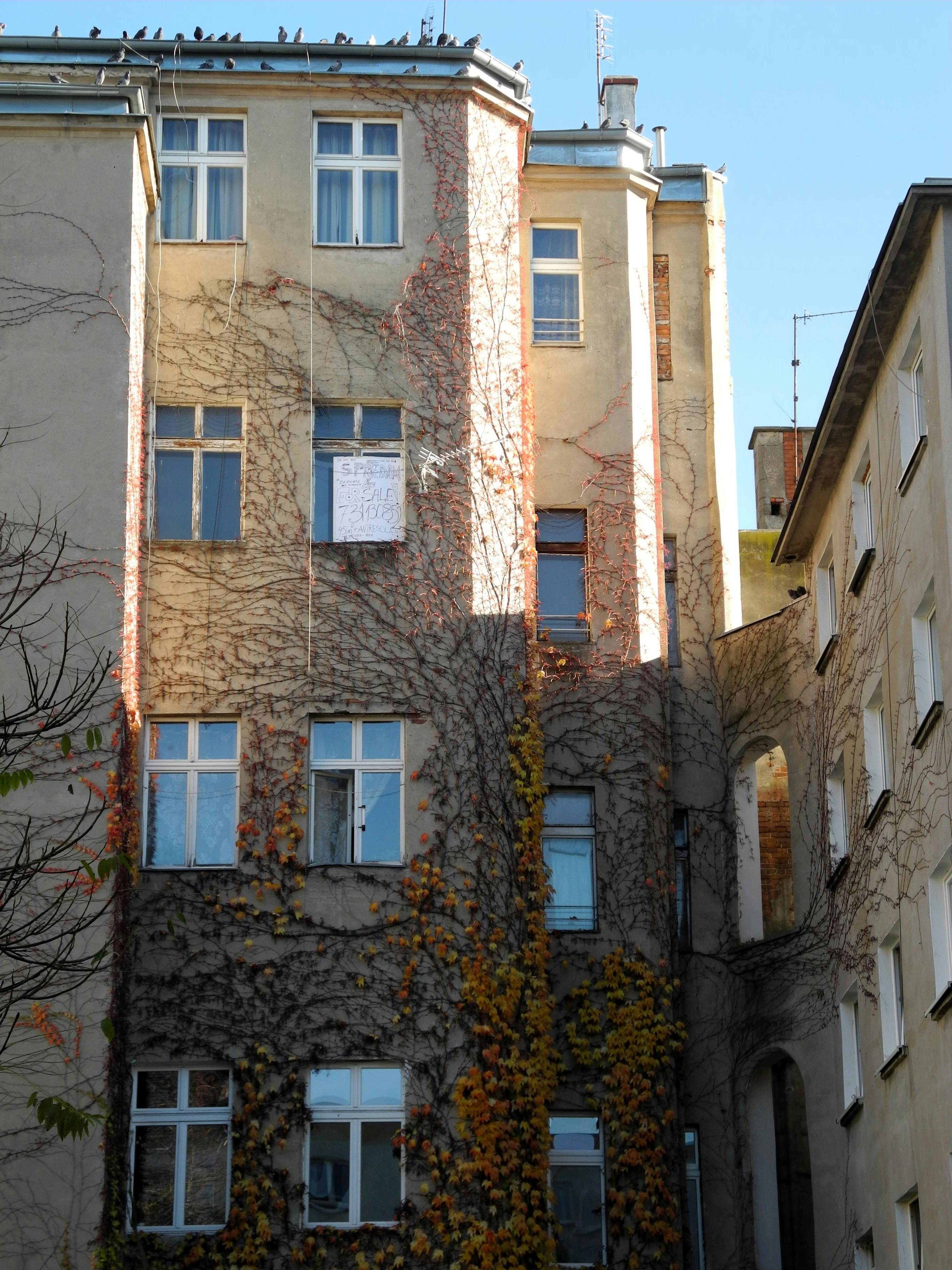 13,845+以上の無料忍龙+logo画像