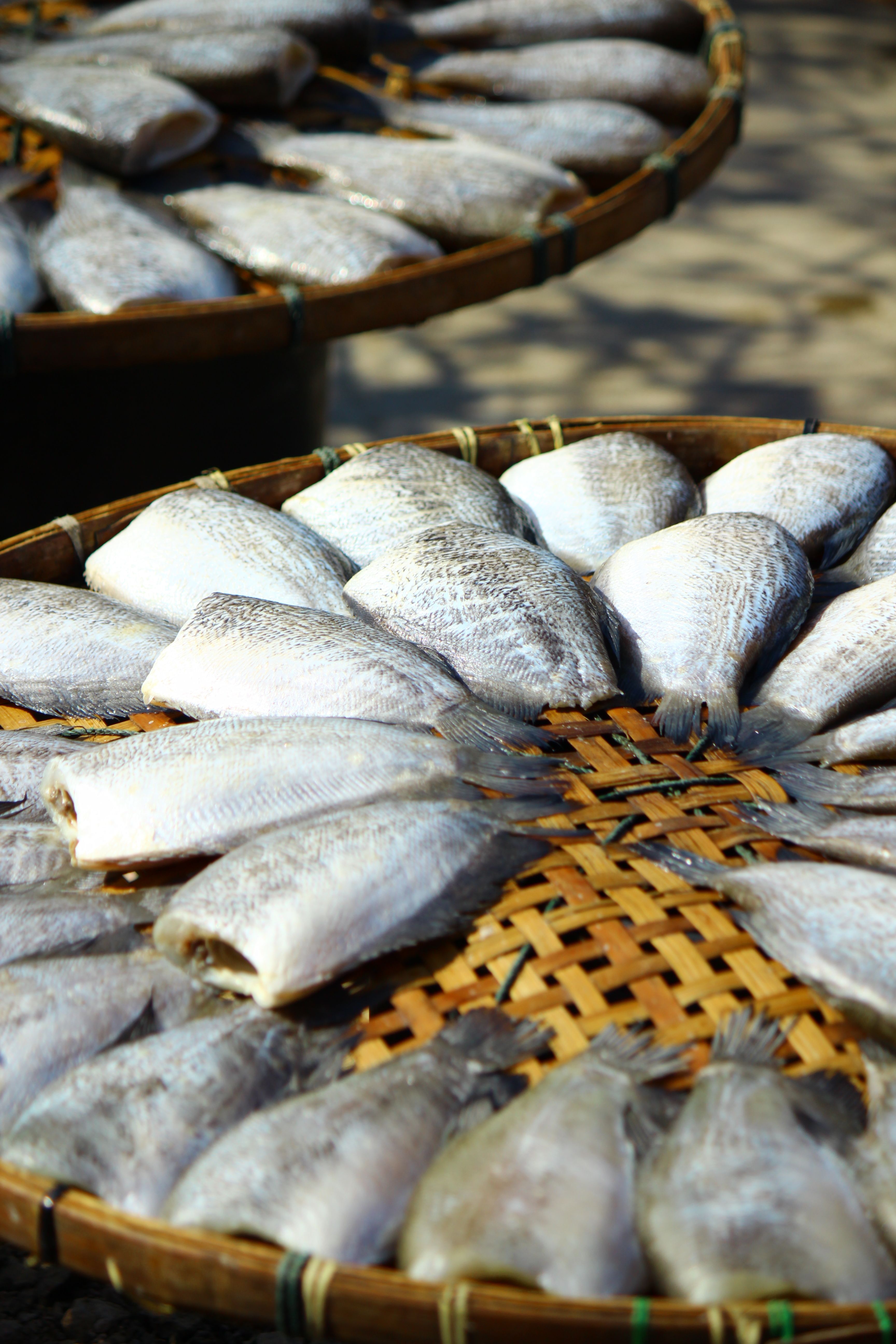 Food Fish Frai Photos, Download The BEST Free Food Fish Frai Stock ...